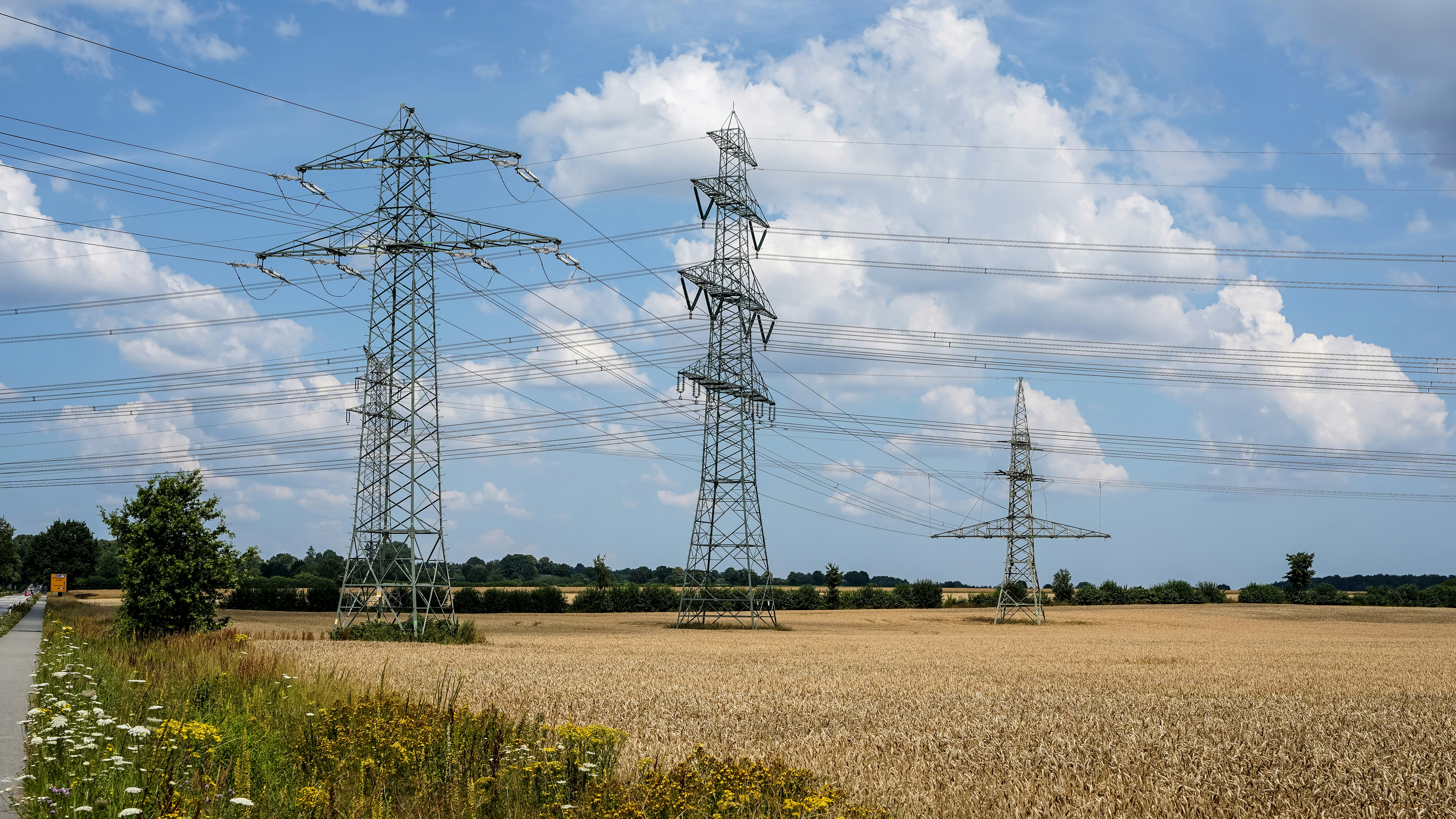 Power Lines Over a Golden Field at Midday