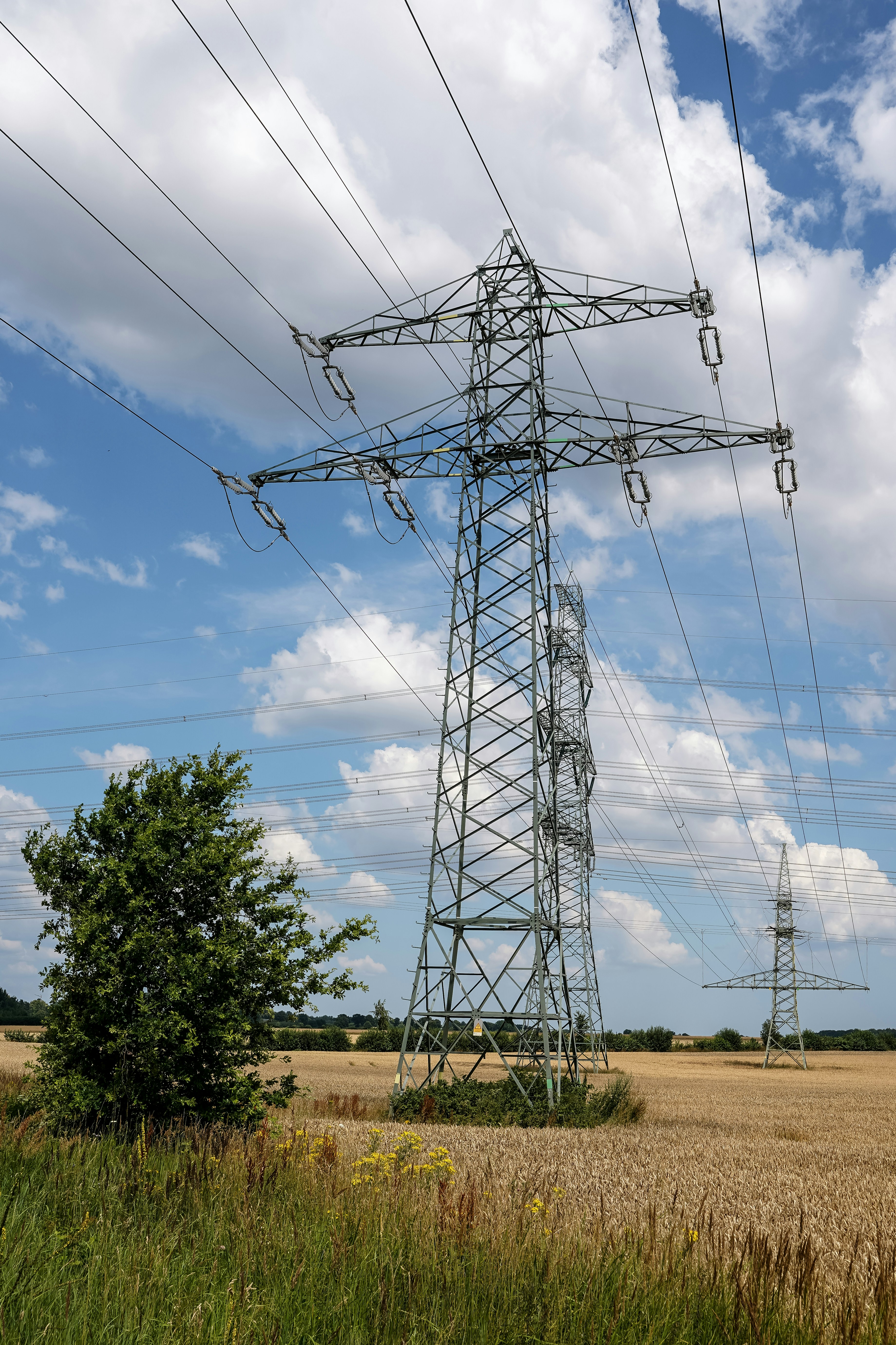 Overhead sentinels: a field of geometric towers reaching for the sky