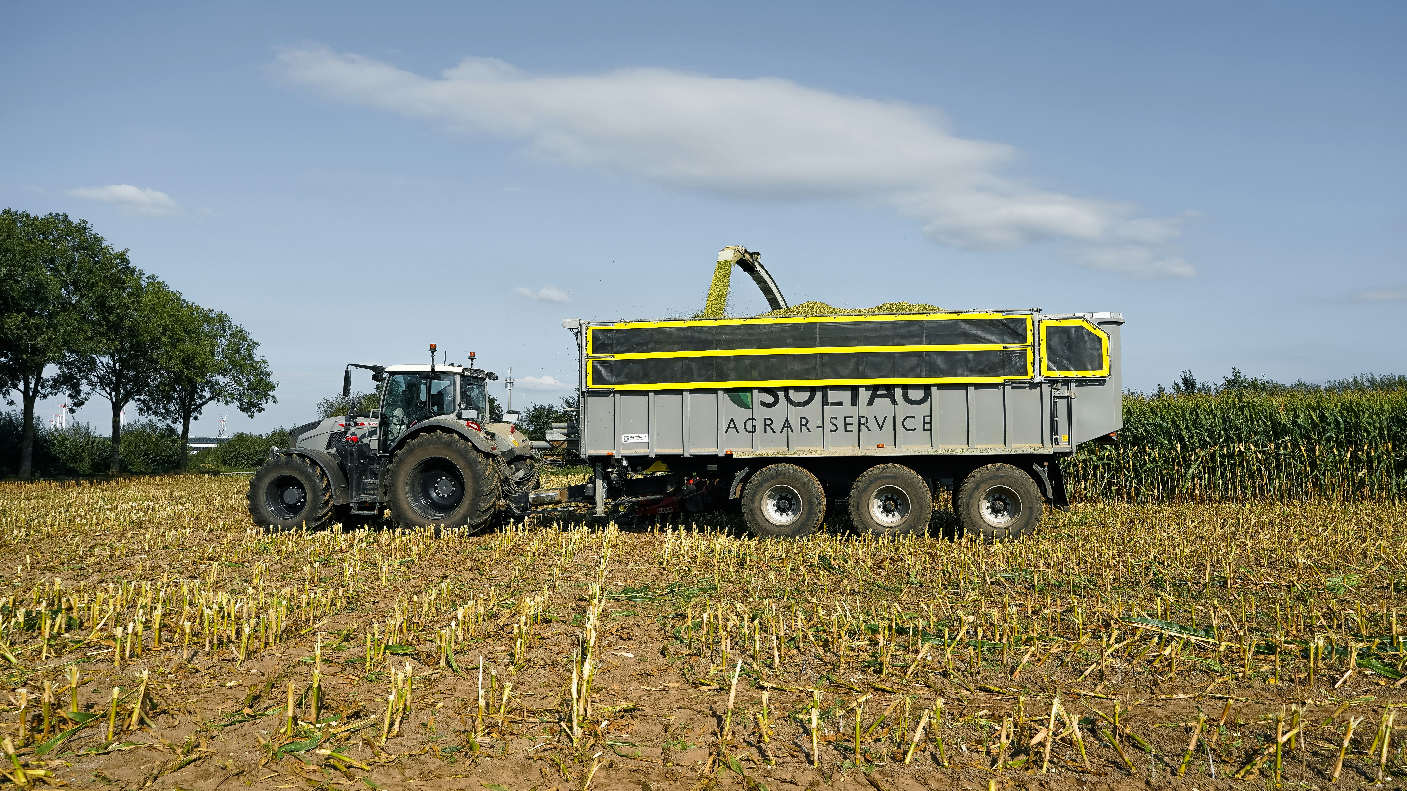 Harvest Hauler in a Sunlit Field