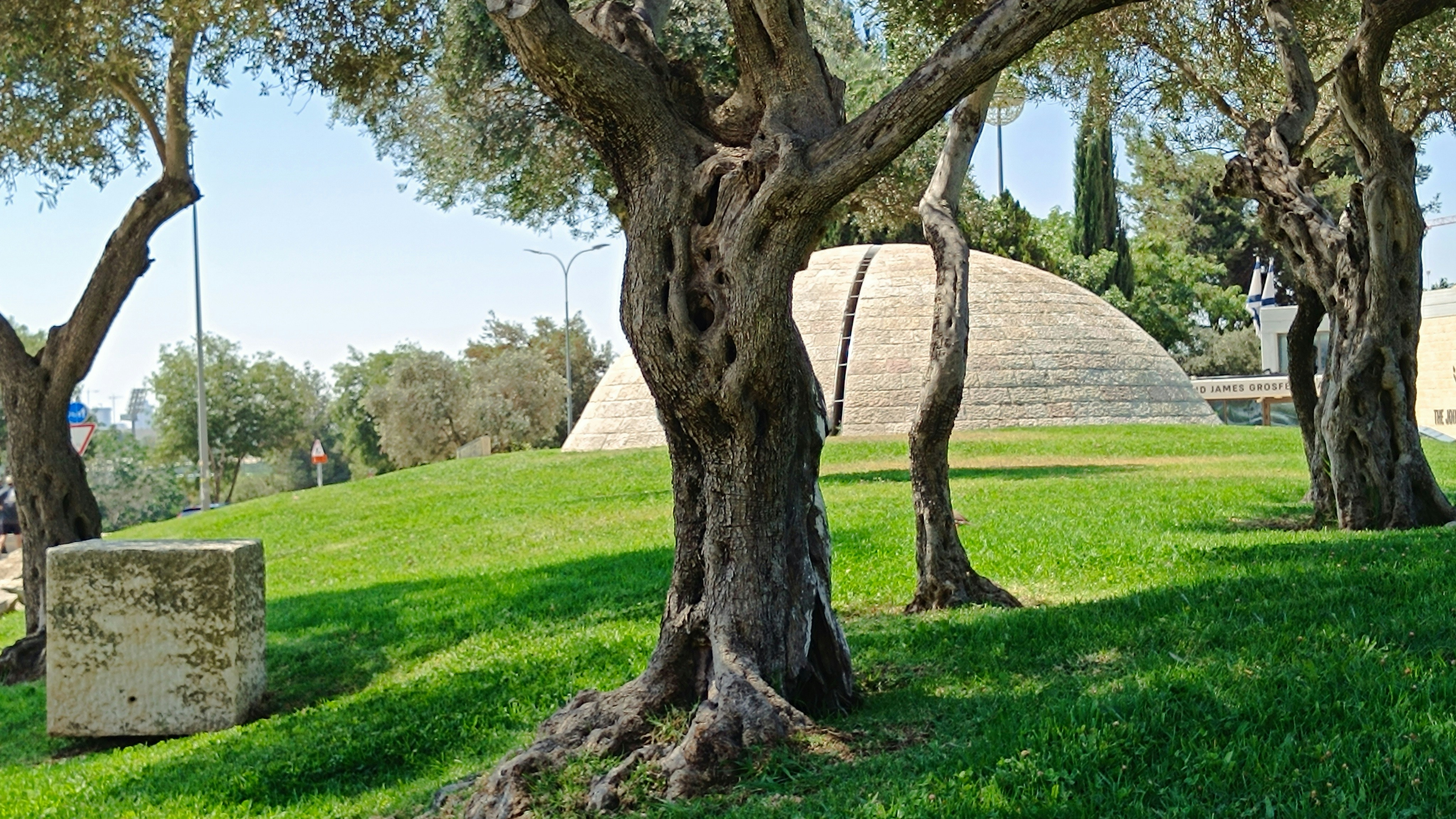 Shaded Oaks and a Stone Dome: A Quiet Park Moment