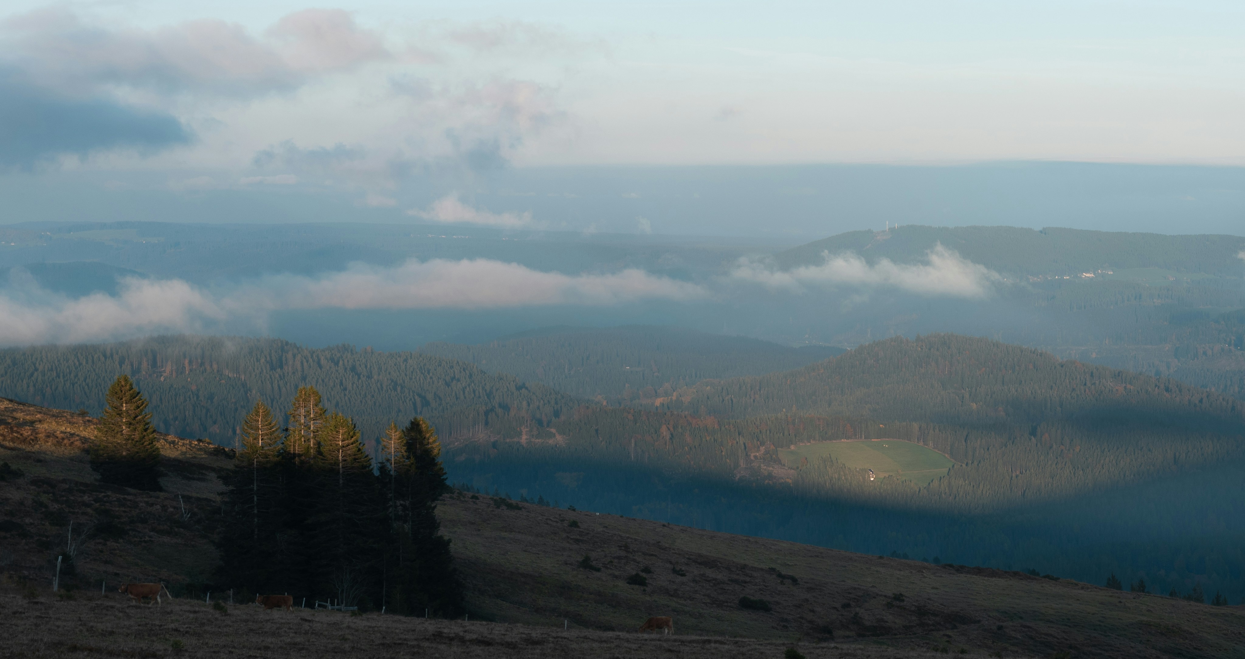 Morning Mist over a Rolling Highland