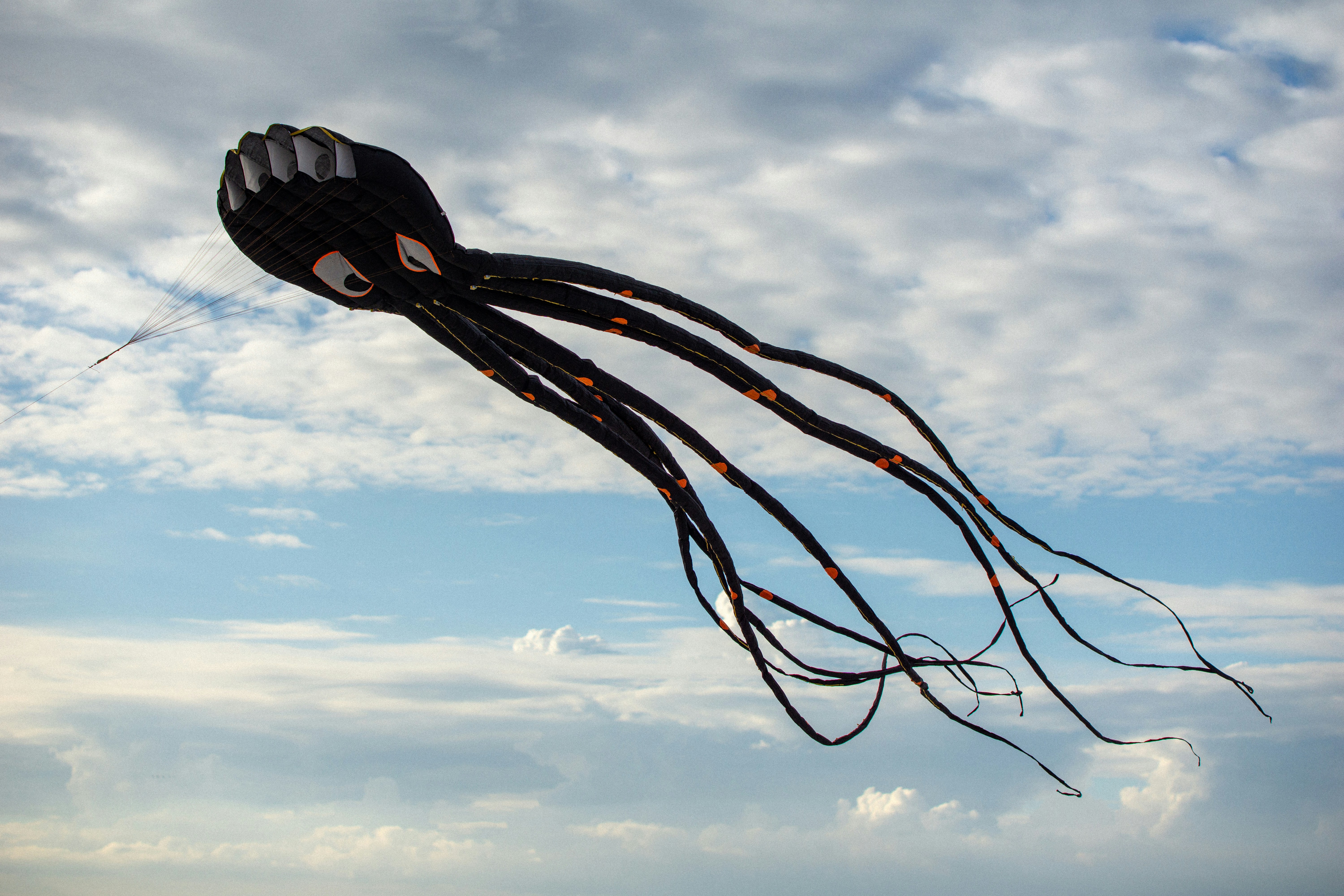 Aerial Octopus: Kite-like Jellyfish SoARING Over a Clouded Sky