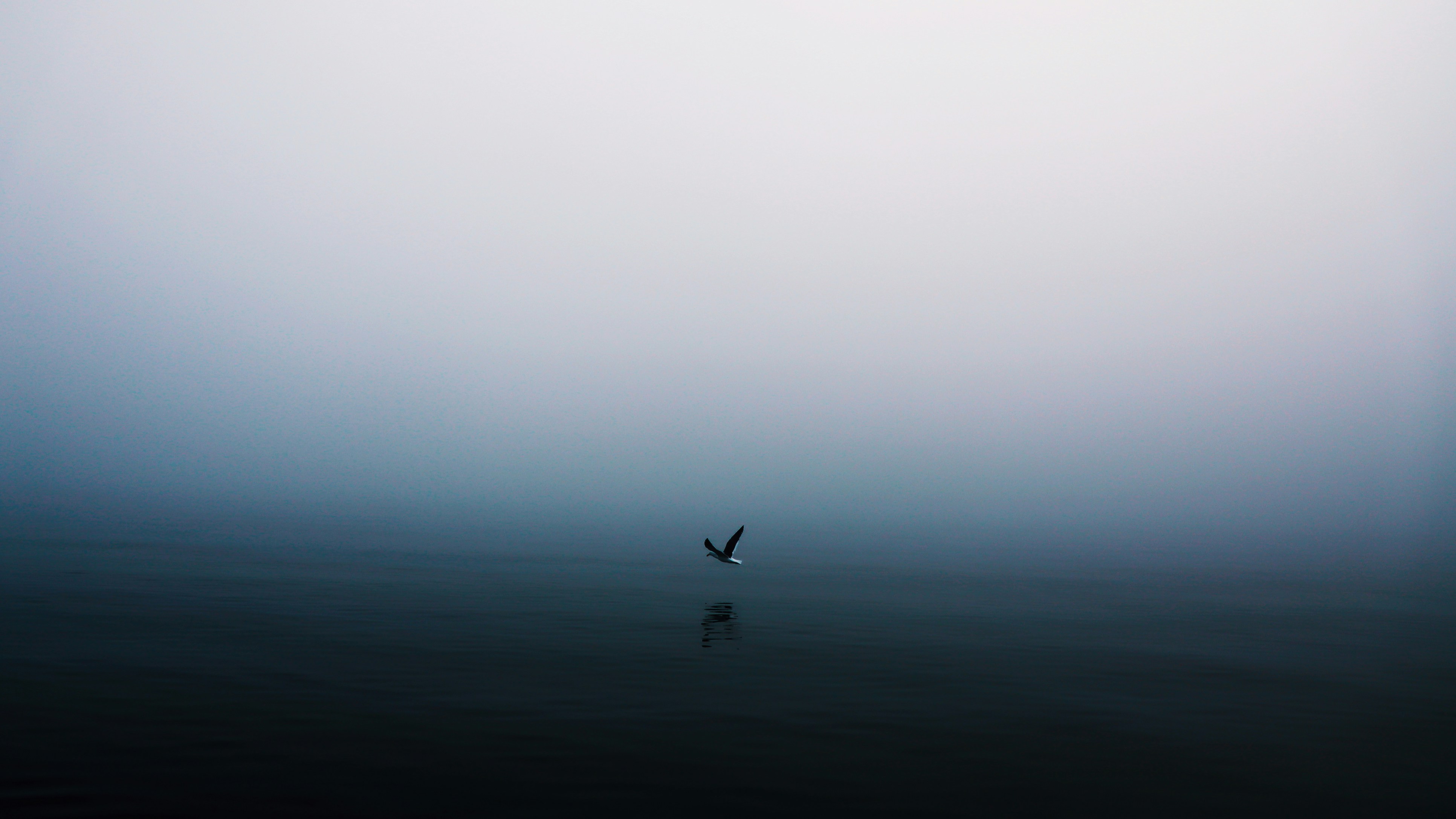 Midnight Glider Over a Quiet Horizon