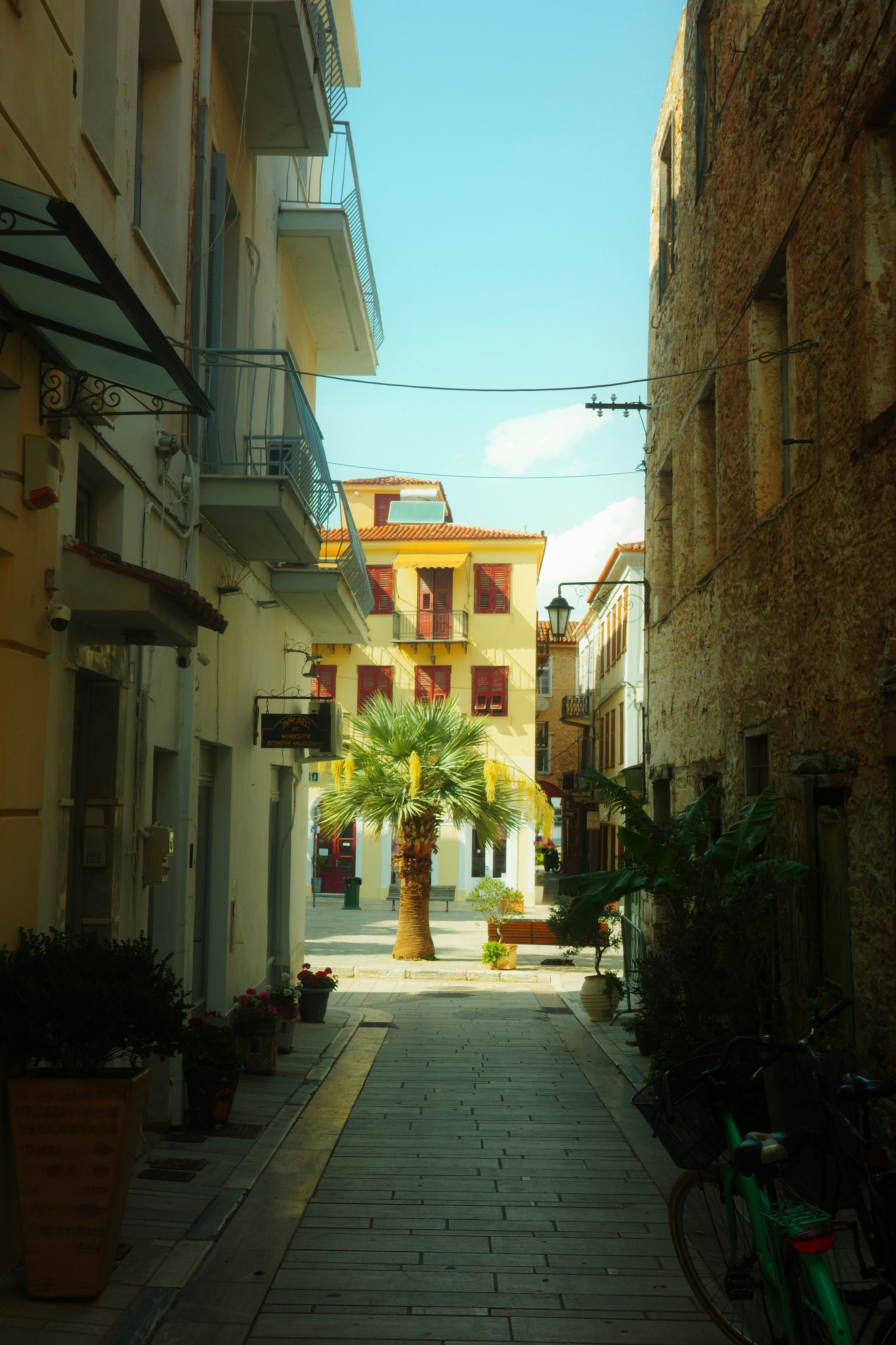 Sunlit Calle Principal: Palm, Balcony, and Quiet Facades