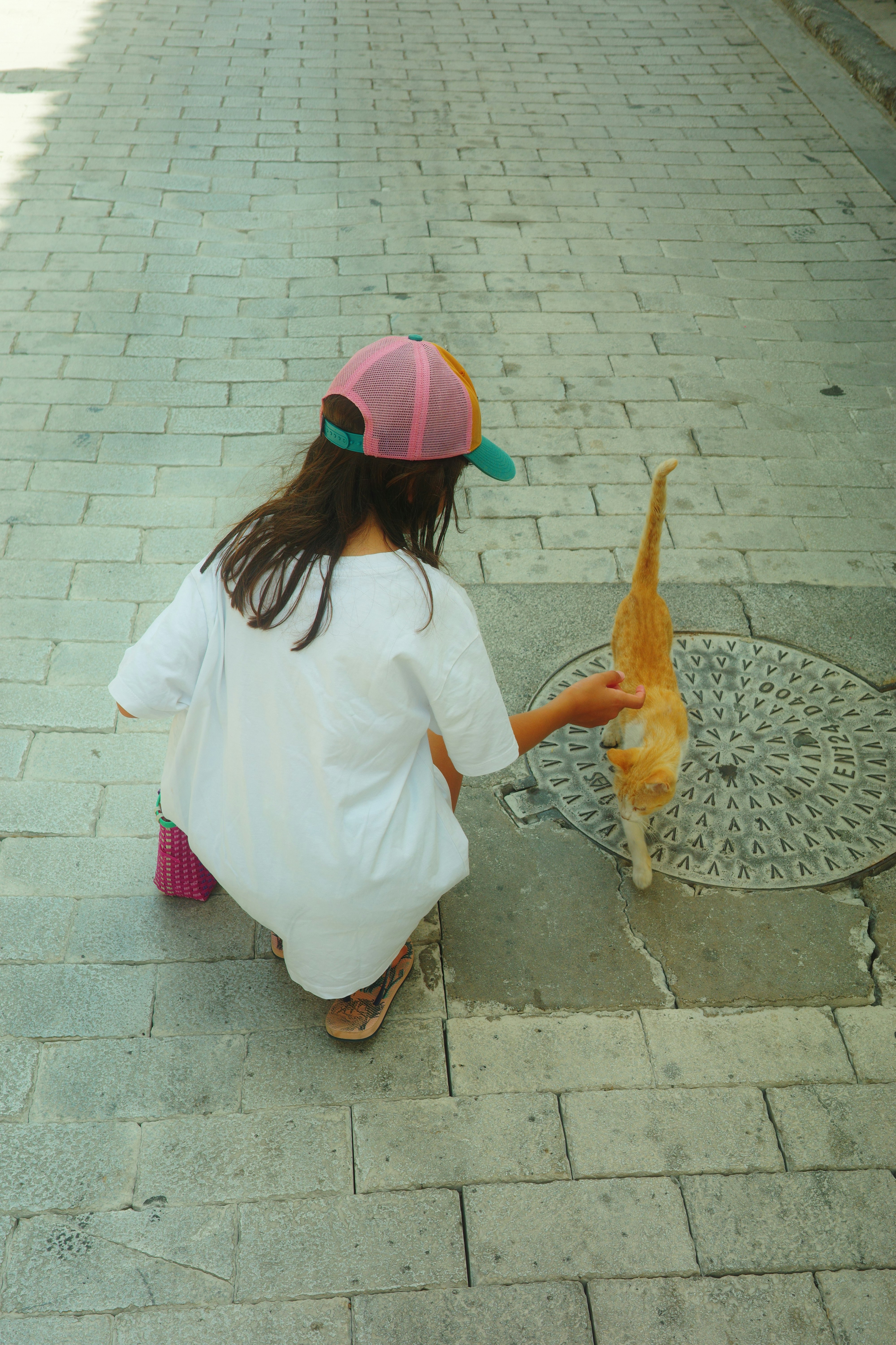 Little Explorer and a Curious Cat on a Sunlit Sidewalk