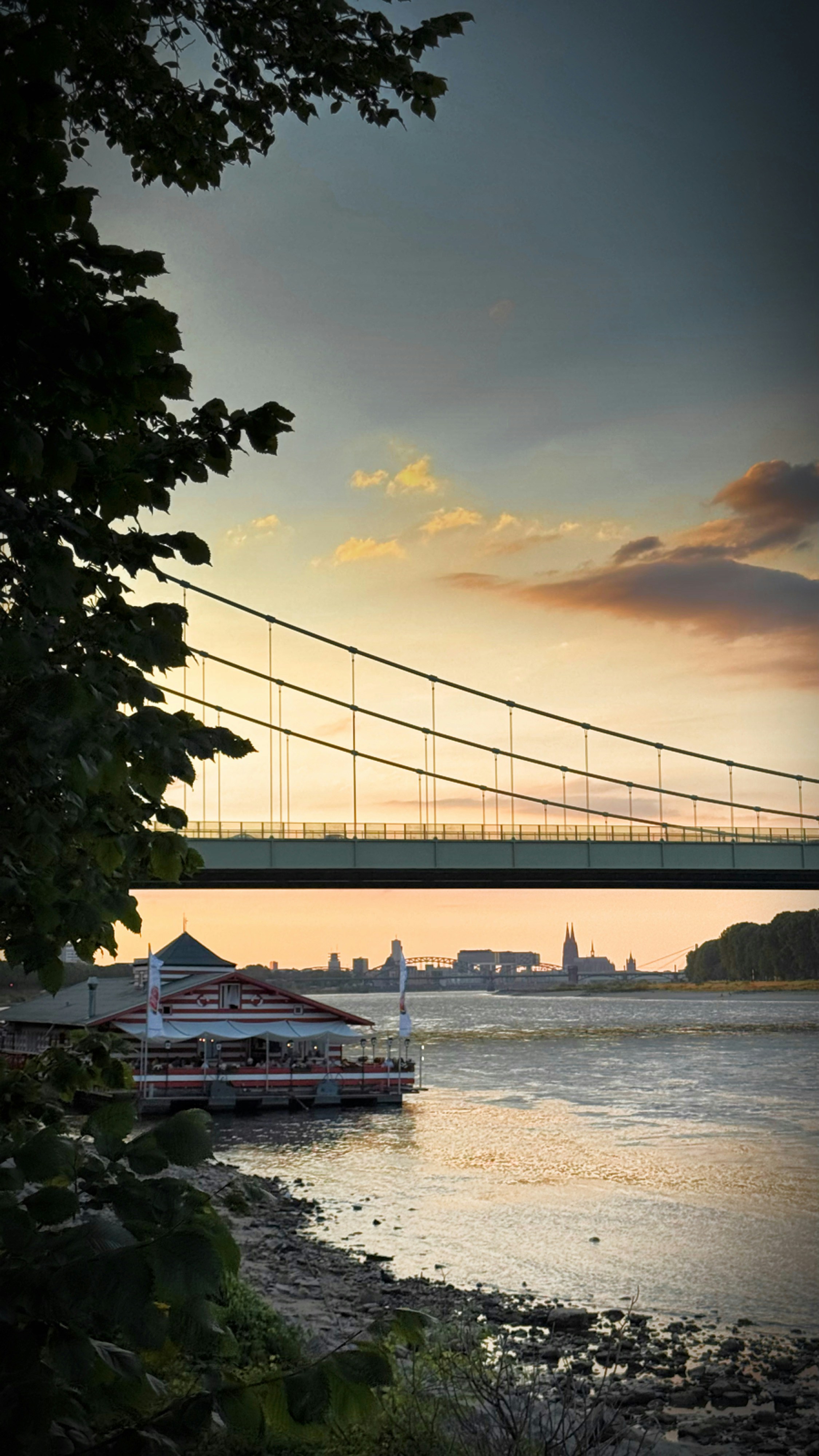 Sunset over the river beneath a modern suspension bridge