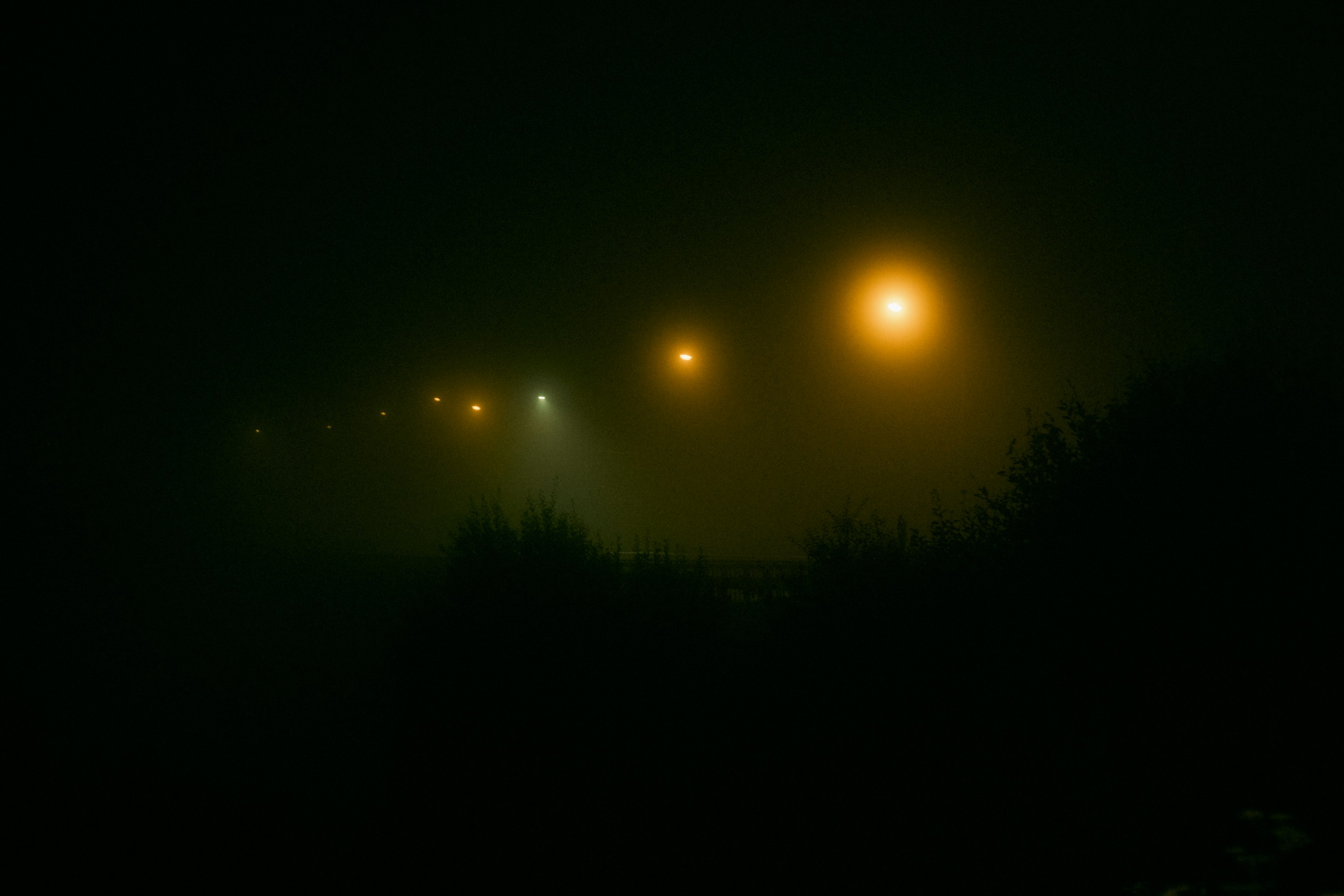 Fogbound Street Lamps: Quiet Miles of Night