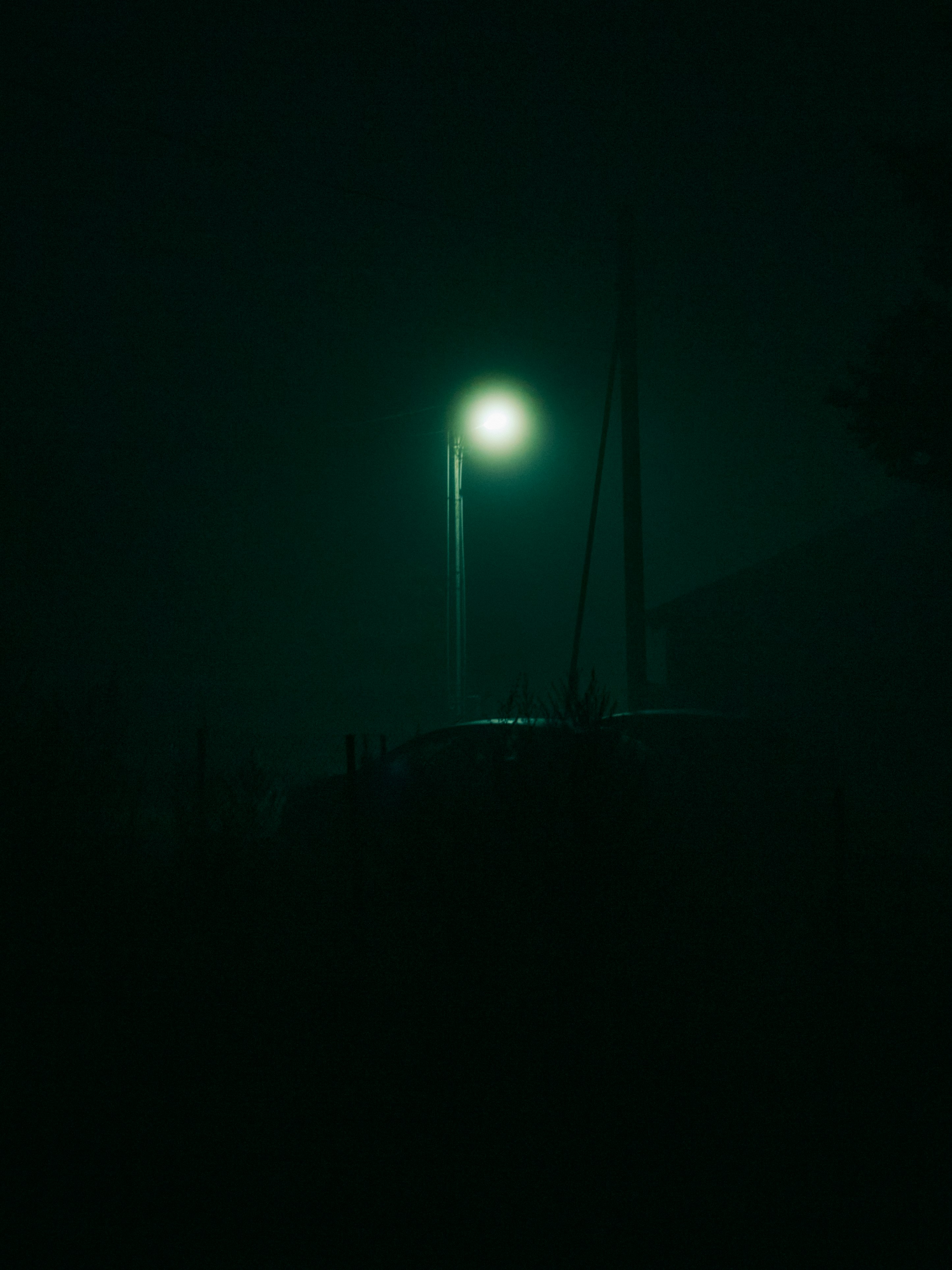 Night Shield: A solitary streetlamp piercing the fog