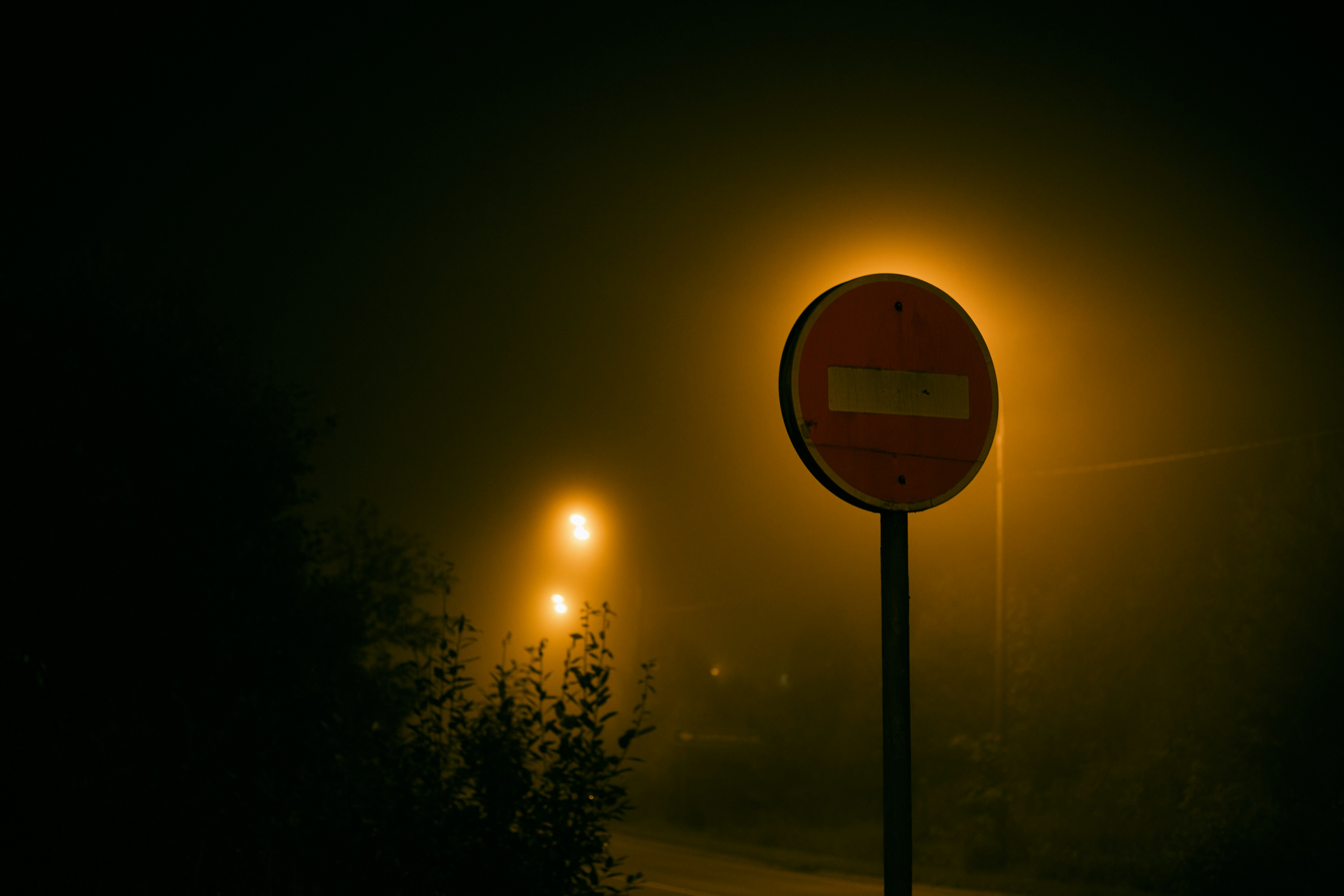 Night Signpost in Fog: A Quiet Street Lamp Guides the Way