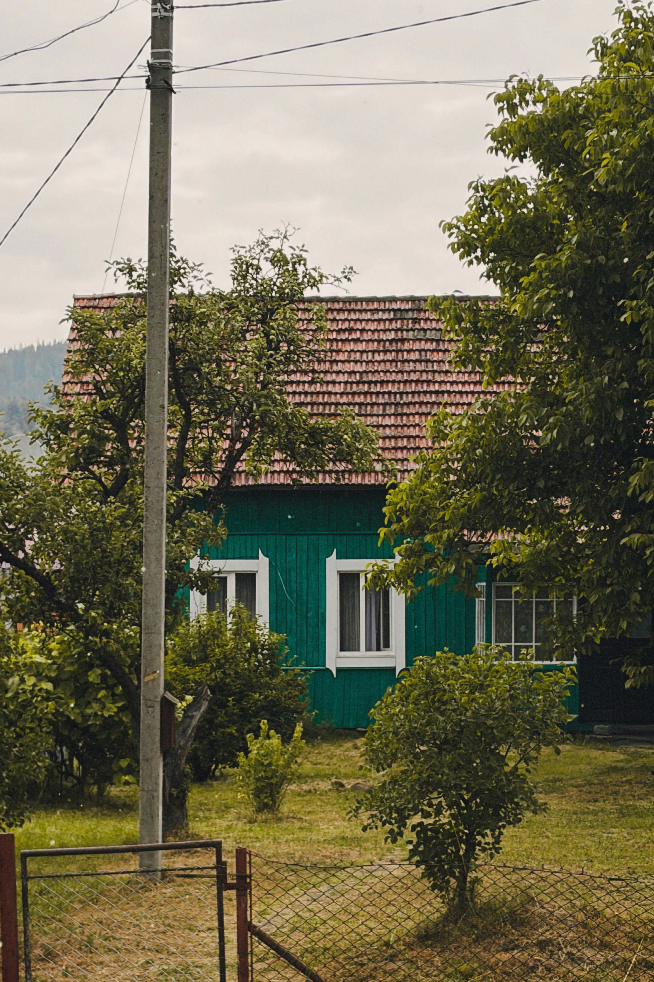 Rural teal cottage under a canopy of trees
