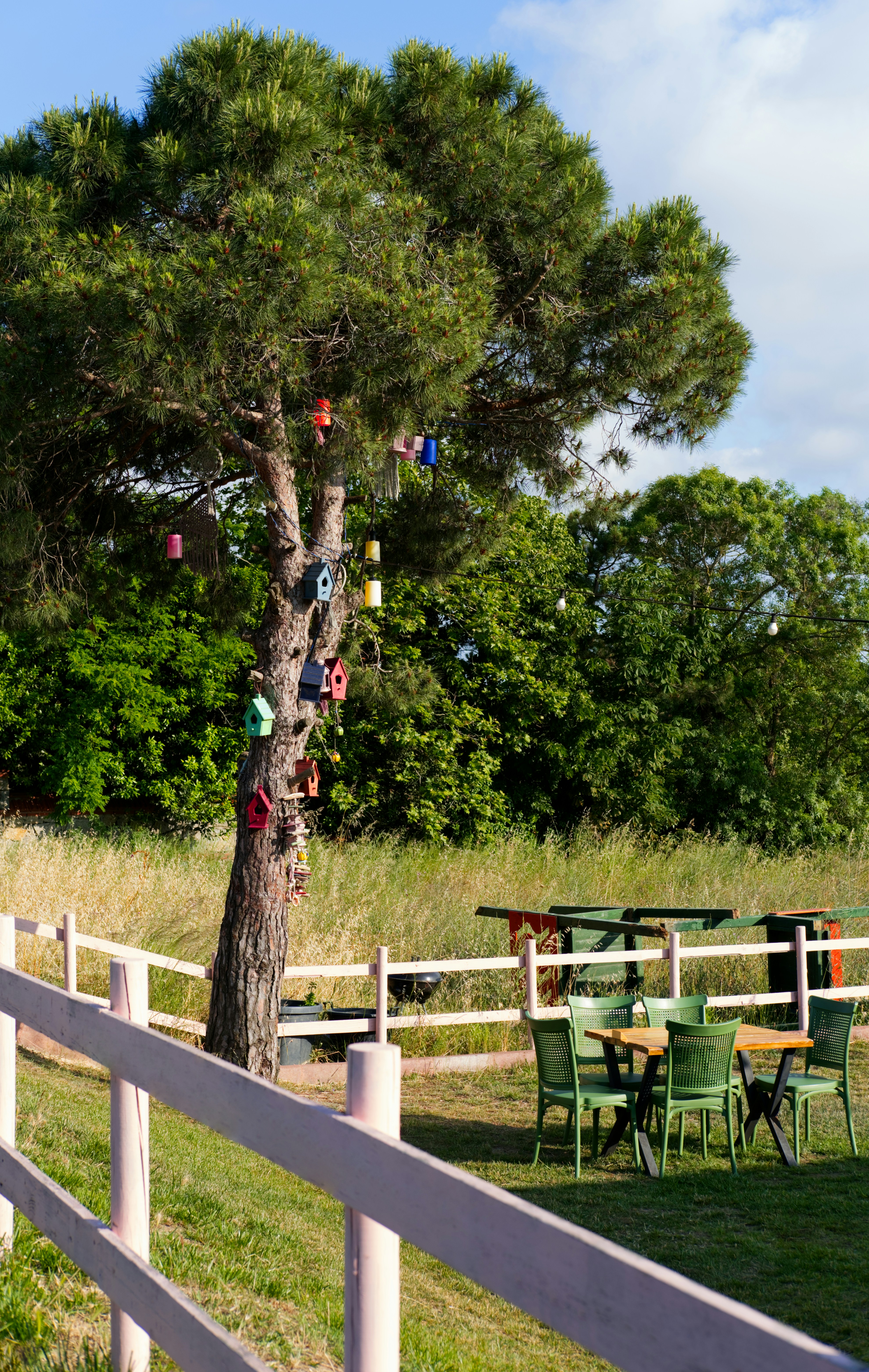 Birdhouse Orchard: A Tree Freckled with Colorful Nest Dwellings Overlooking a Rustic Outdoor Café