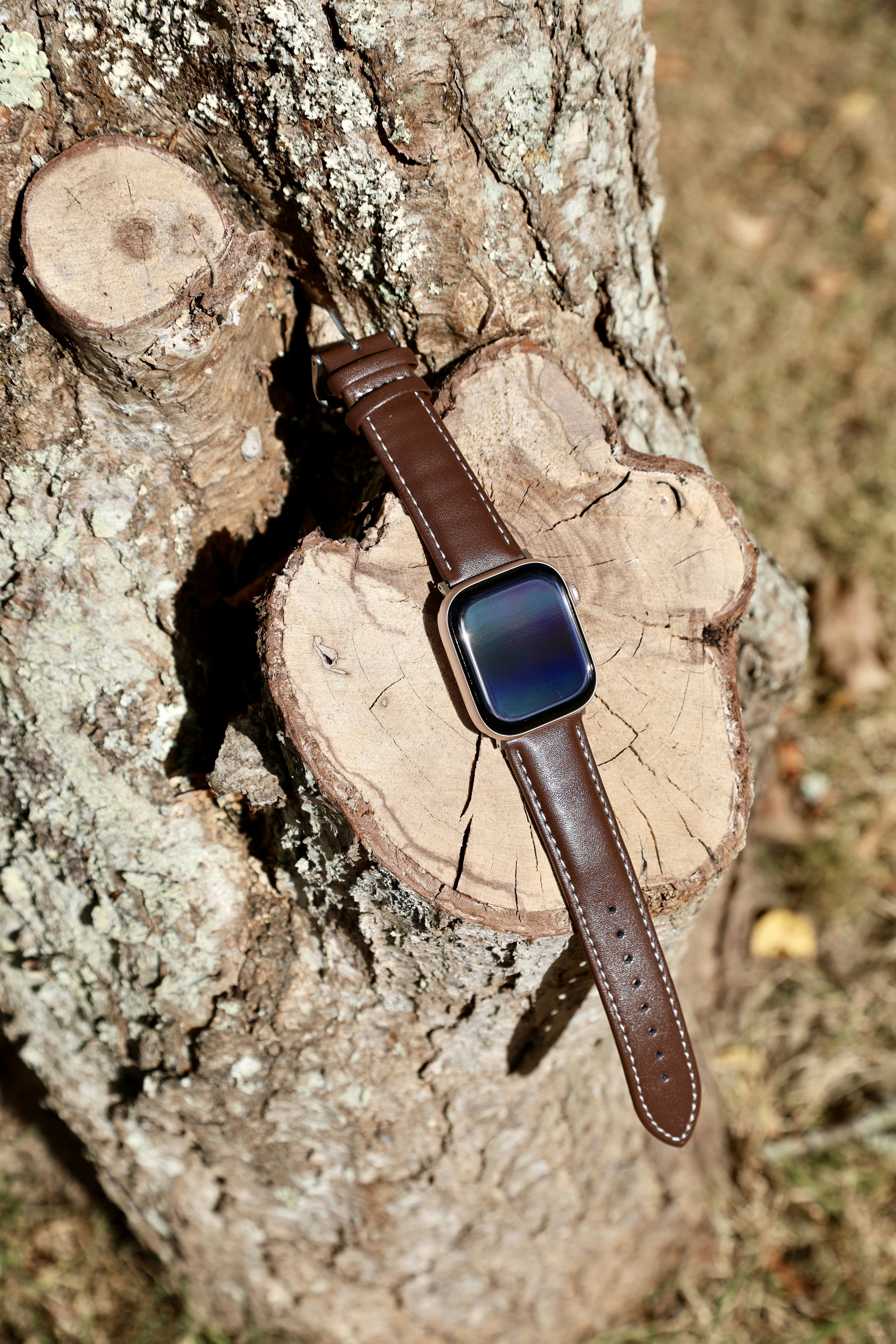 Brown leather smartwatch with a blue-tinted screen rests on a tree trunk carving; the natural light highlights the texture of bark and the watch's polished metal frame. Note: this is a product photo.