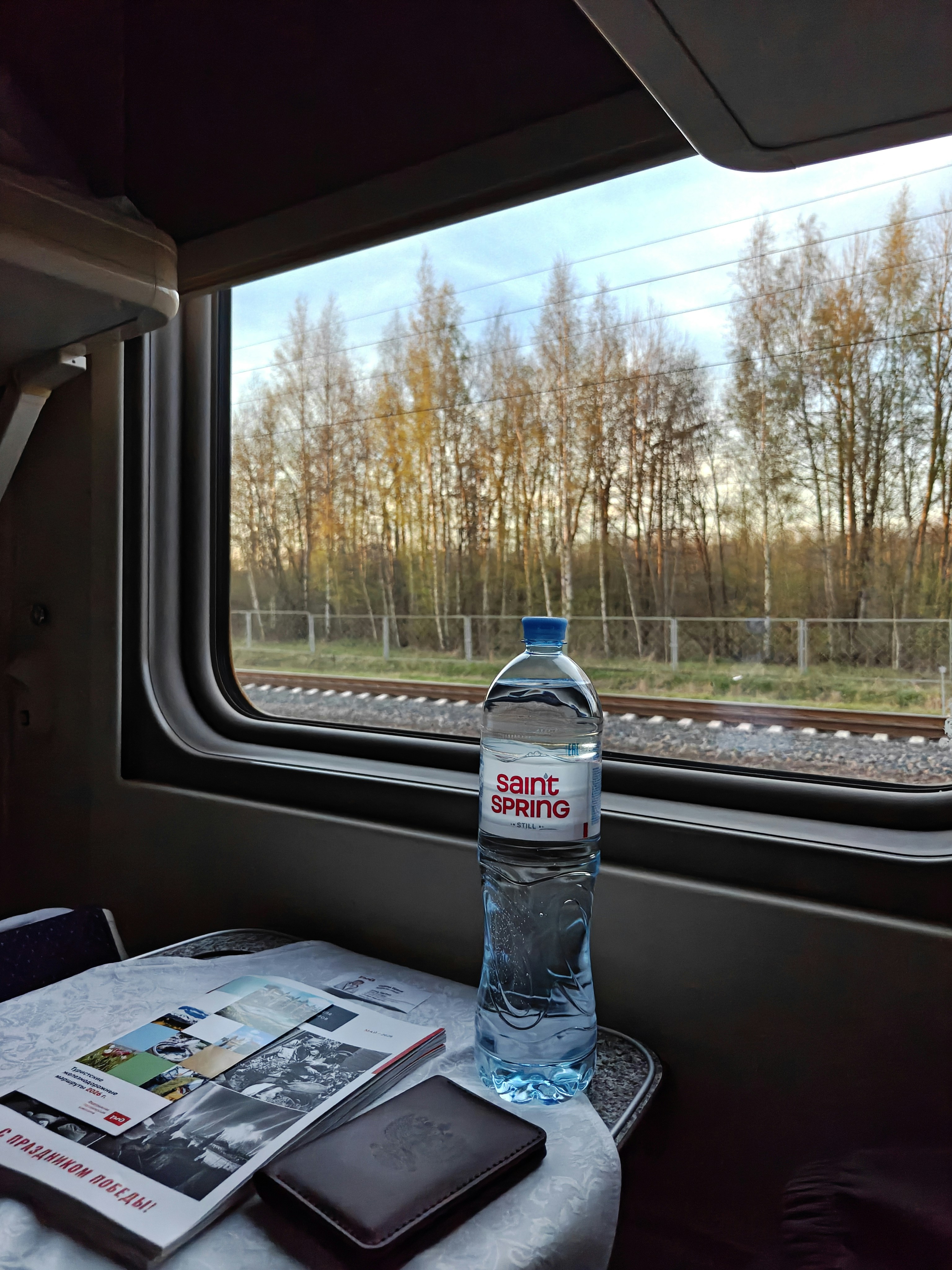 Window View: Quiet Train Car with Water Bottle and Reading Materials