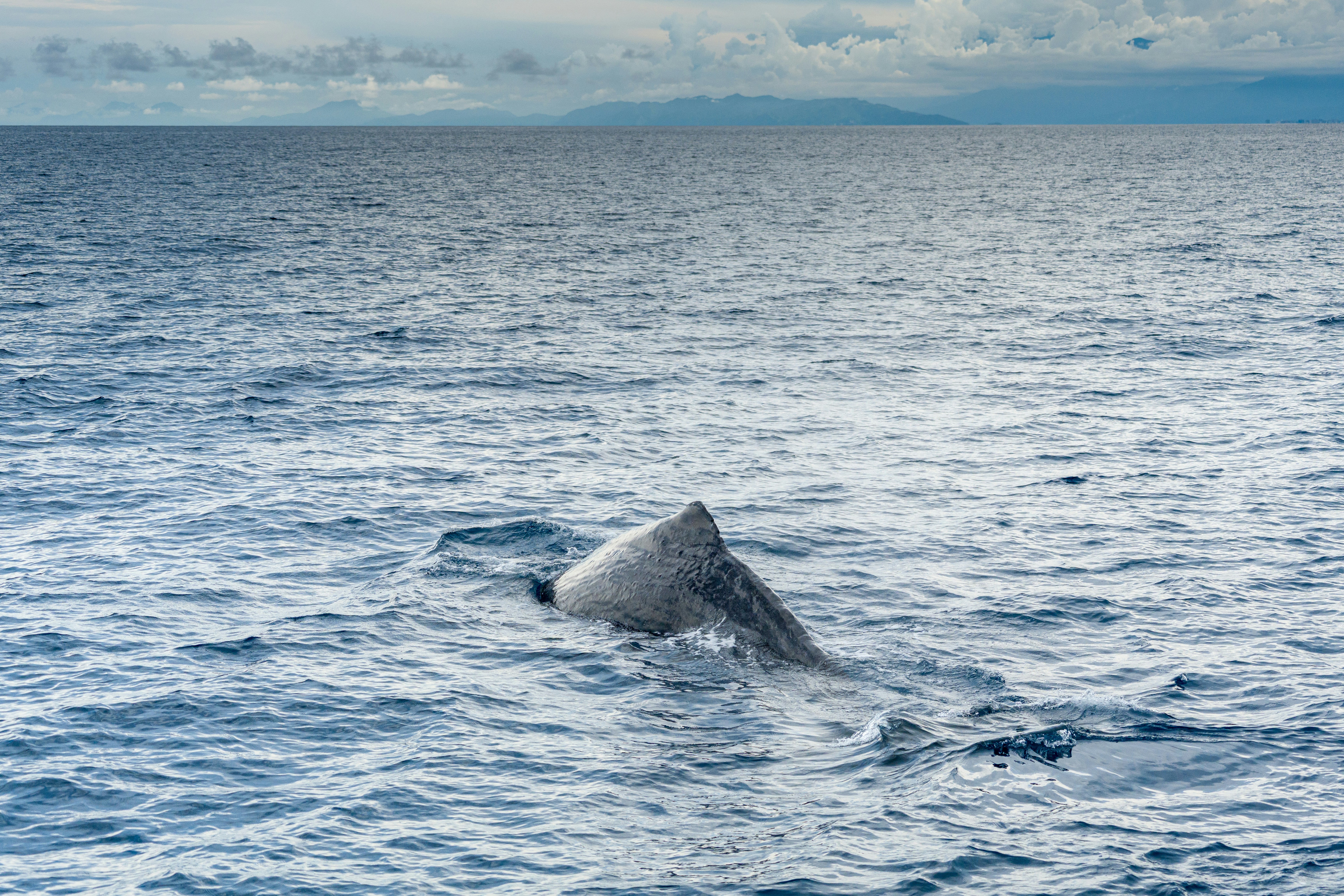 Mid-Sea Stone: a Lone Boulder Rises among Quiet Waves