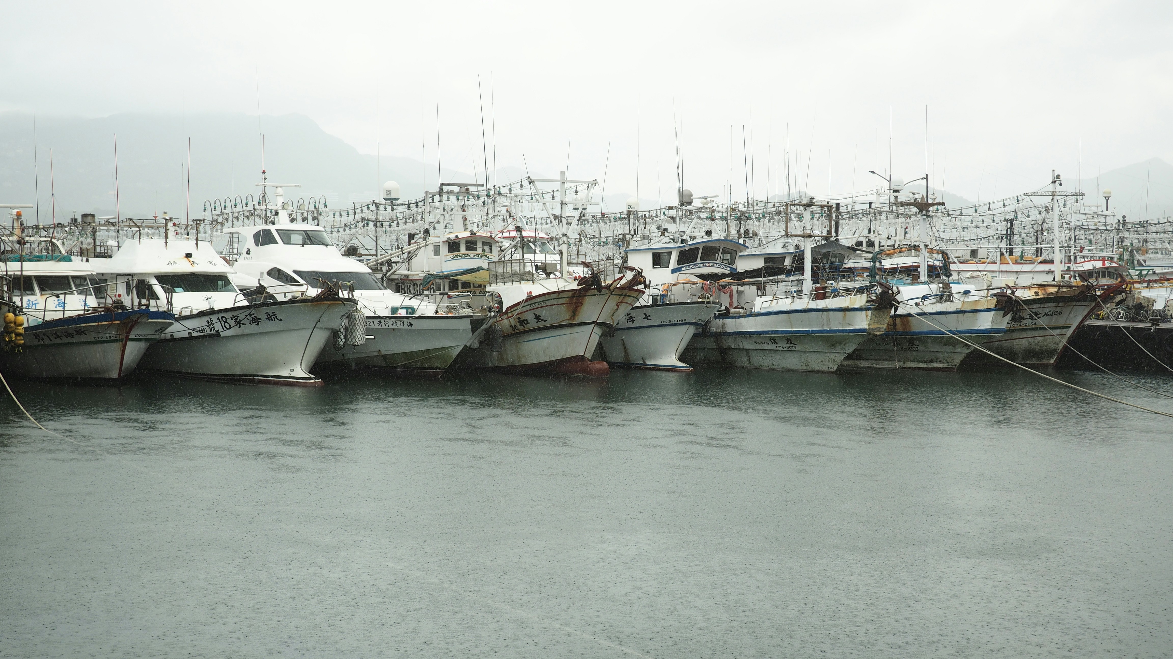 Dockside Chorus: Row of Boats Resting on a Quiet Harbor