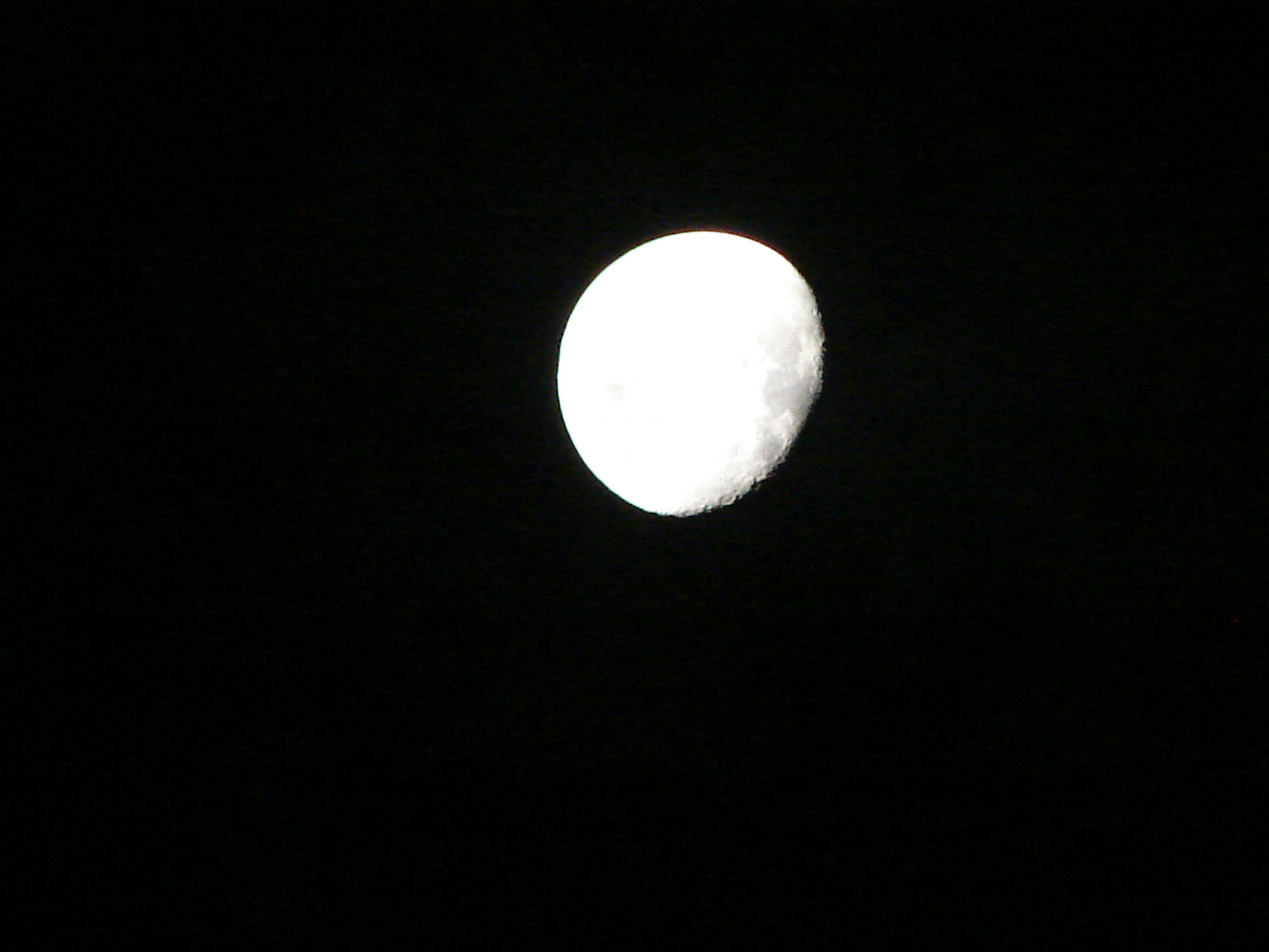 Bright crescent moon against a dark sky, minimal edges and soft craters visible; a stark celestial subject captured with clean contrast.