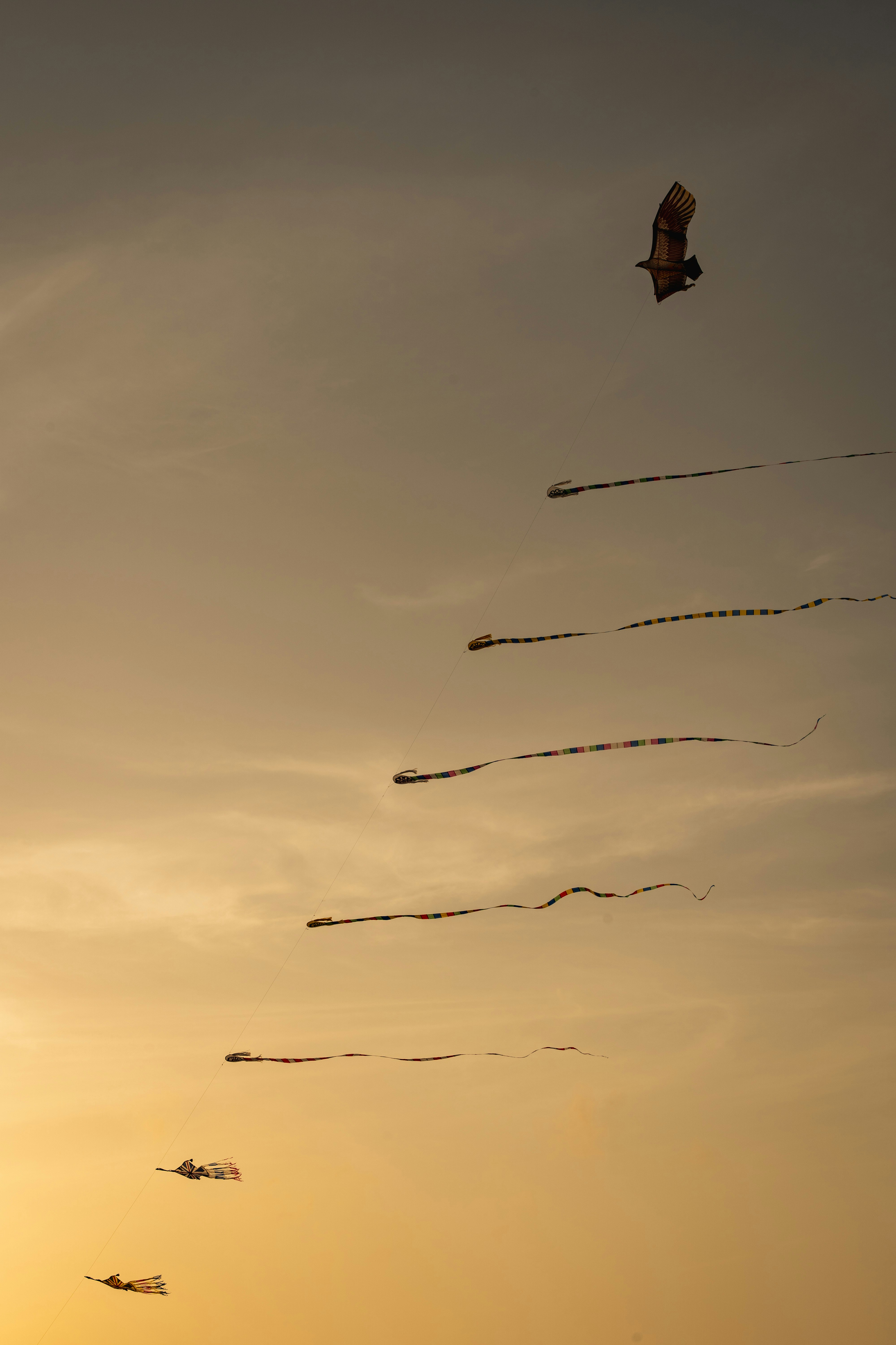 Gliding Kite-Tailed Ornaments Across a Golden Sky