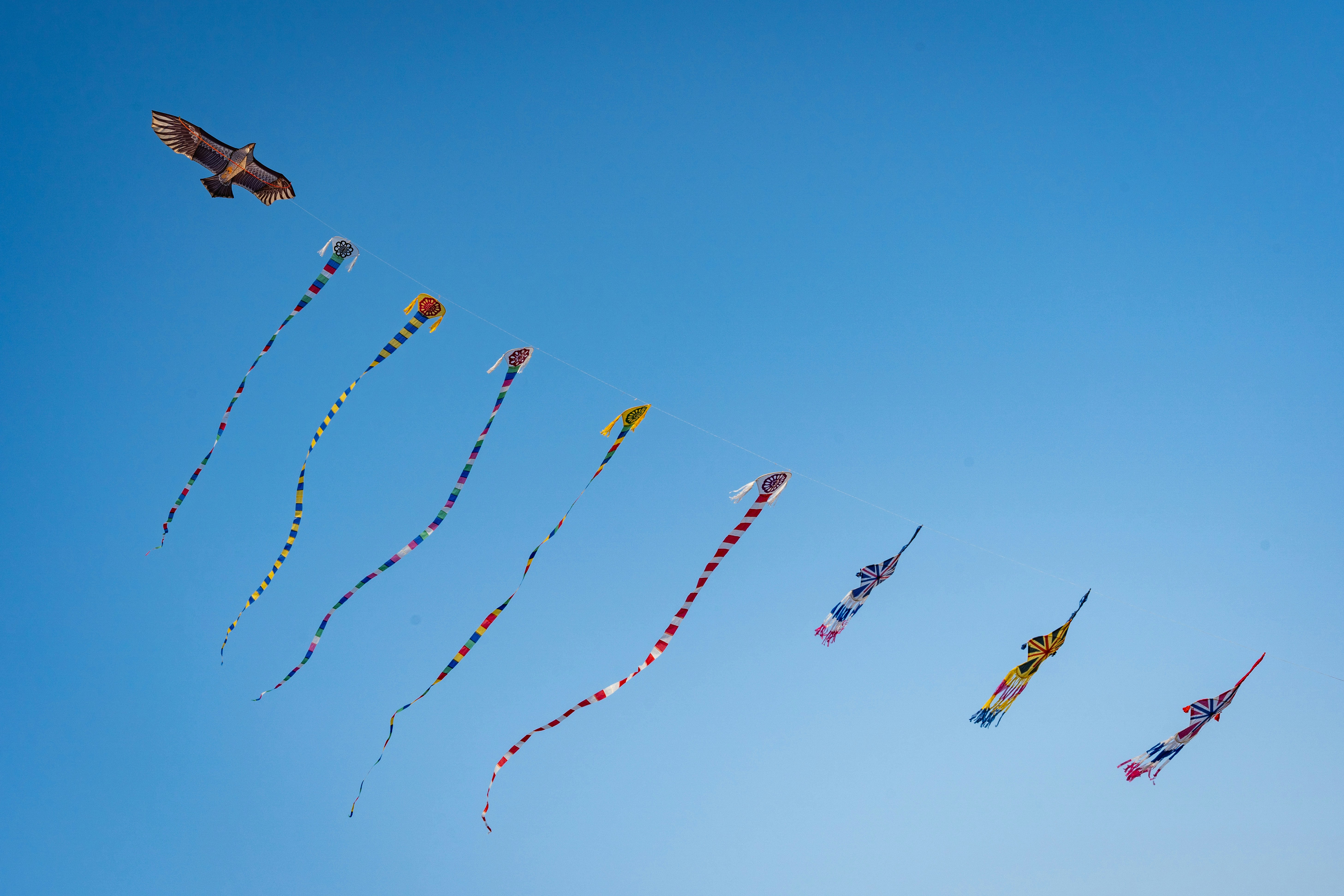 Sailing Colors: Kites Arcing Across a Clear Blue Sky