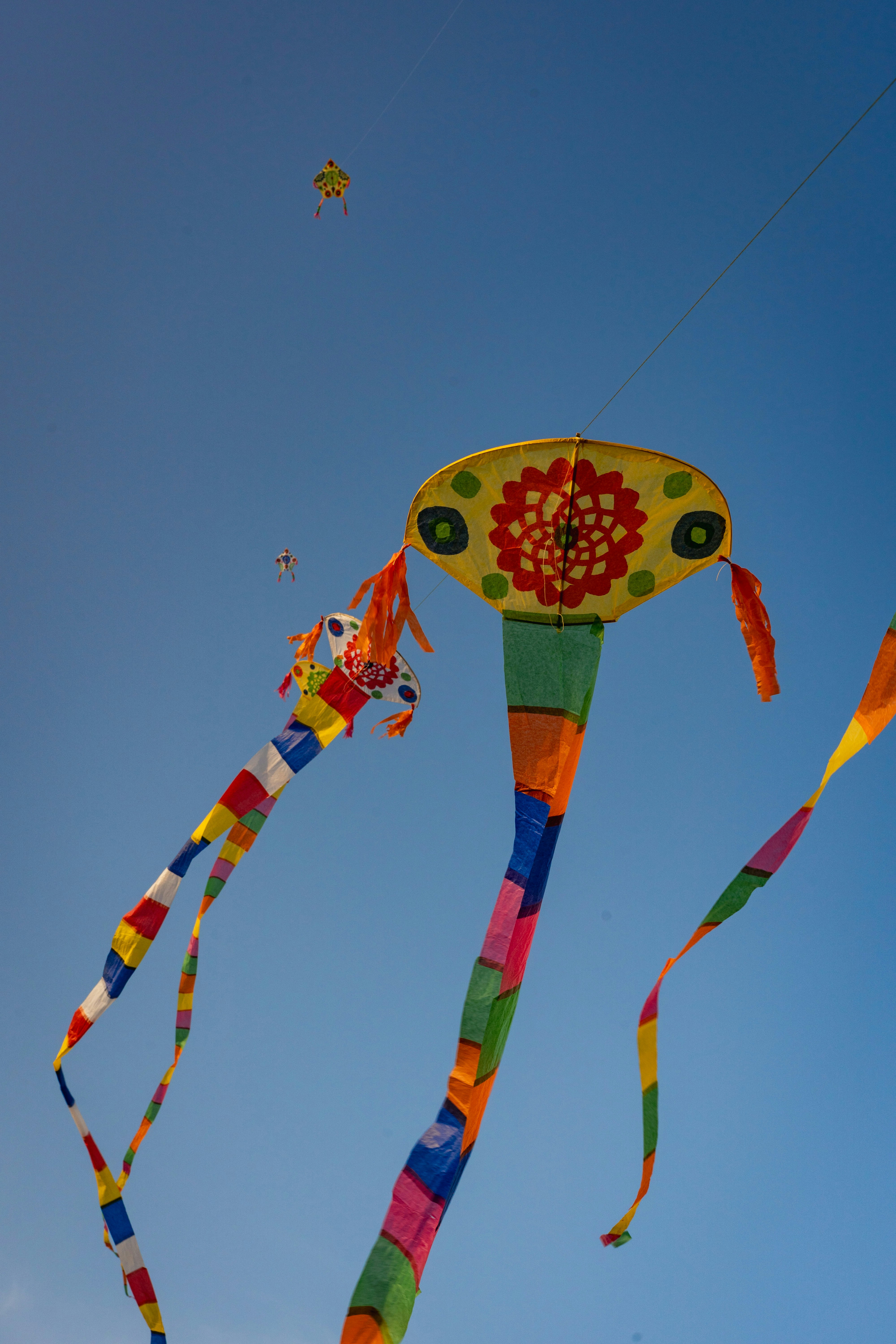 Tethered Tangles: Bright Kites Slice the Sky