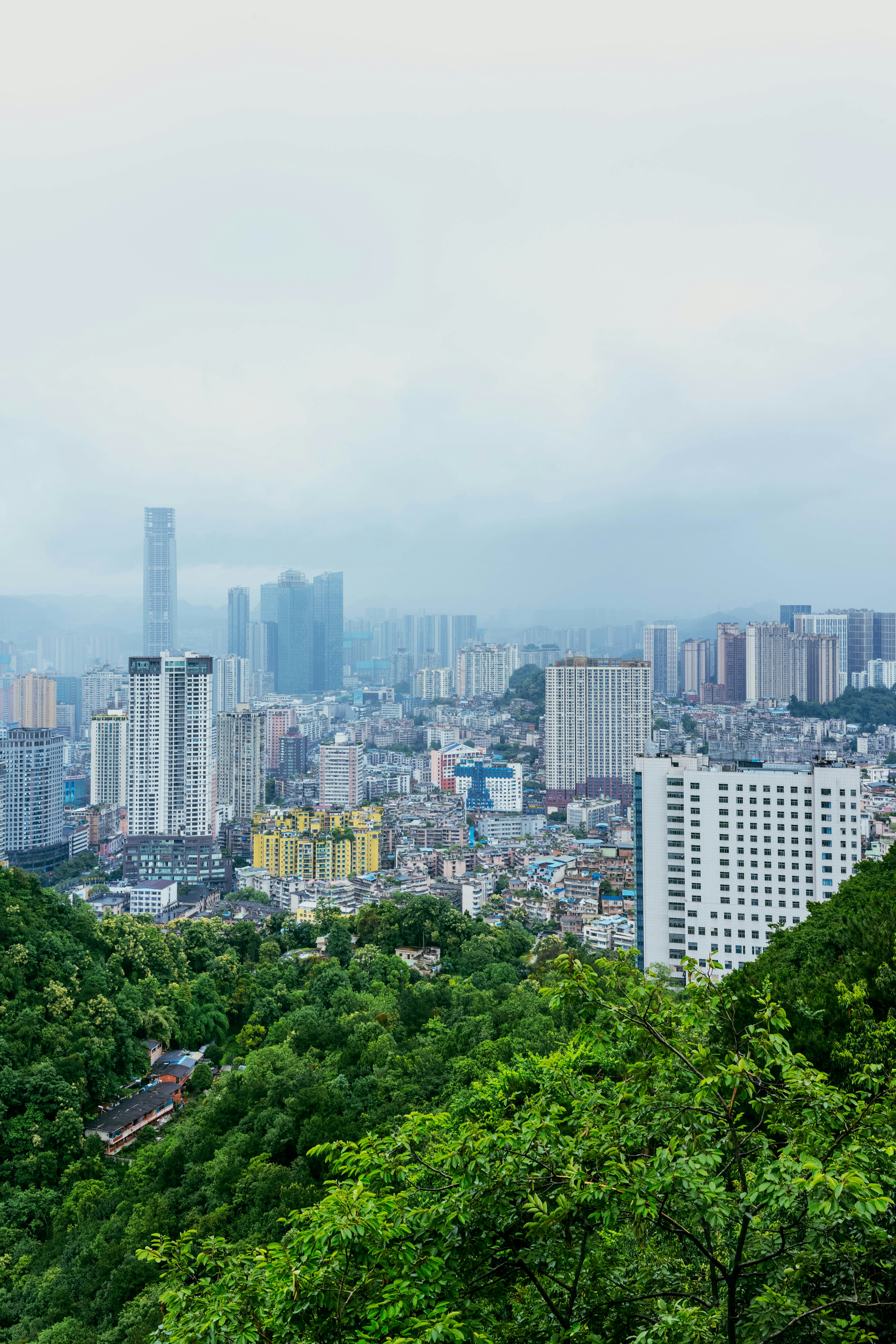Cityscape Emerges from Green Slope: A Panoramic Urban Gradient