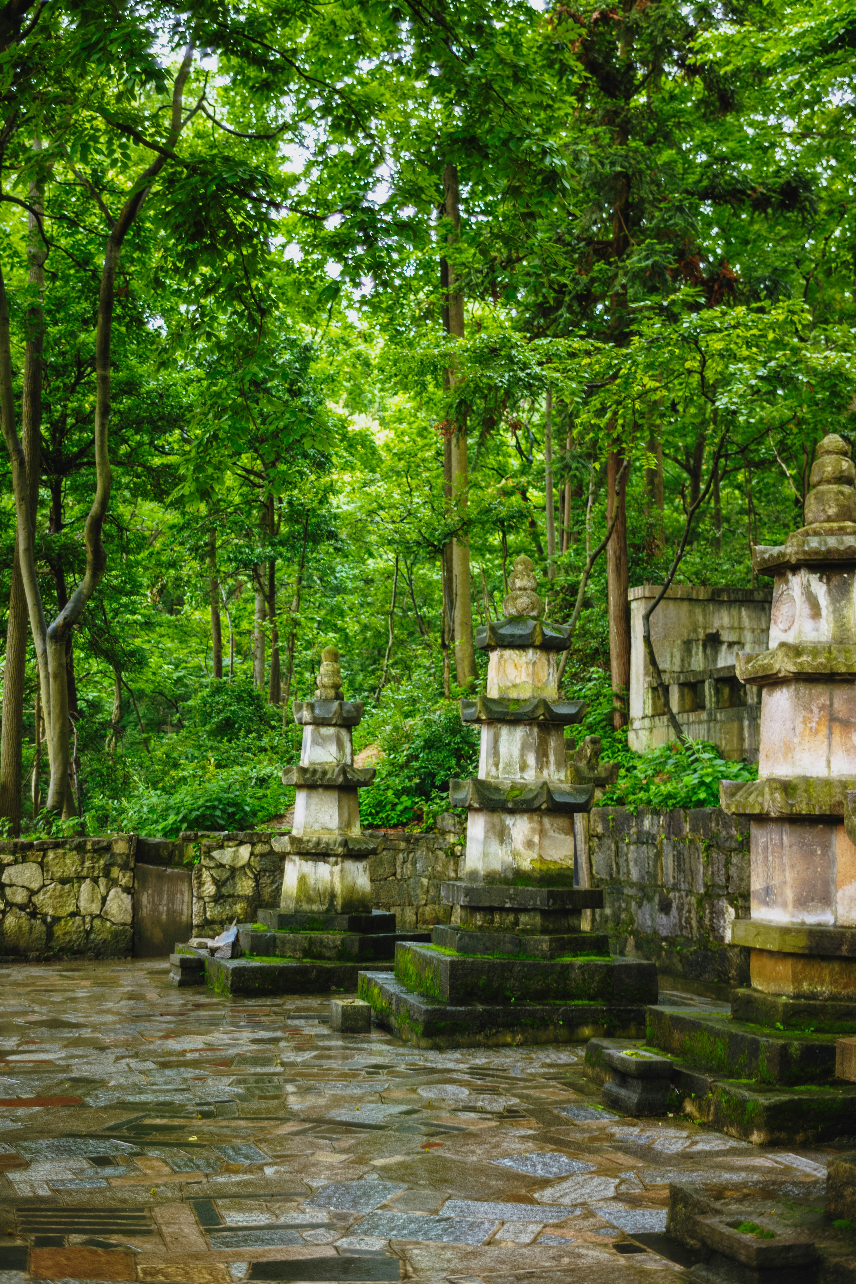Stone Lantern Shrine Quietly Framed by Green Canopy