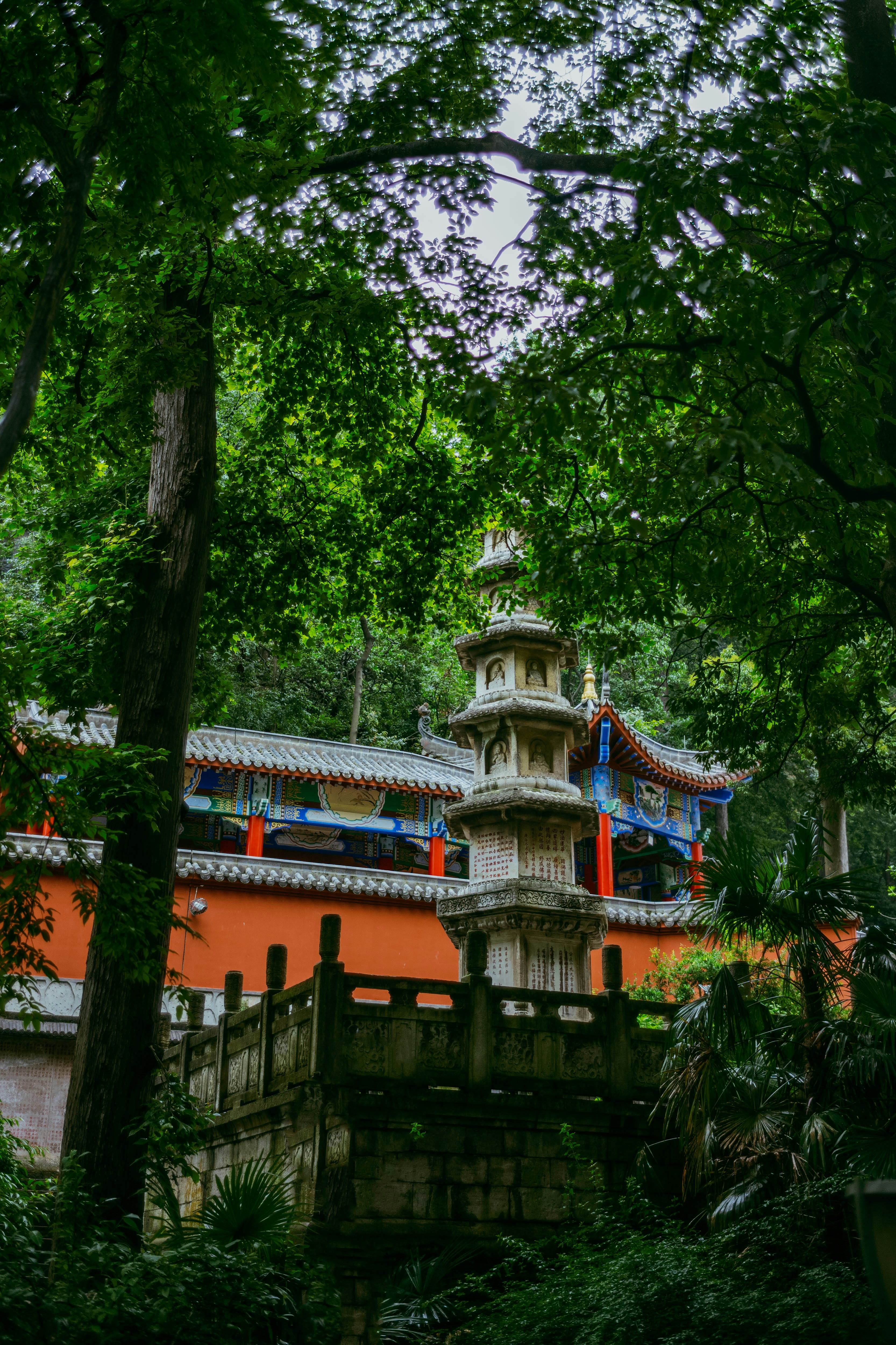 Temple Lantern Amid Green Canopy