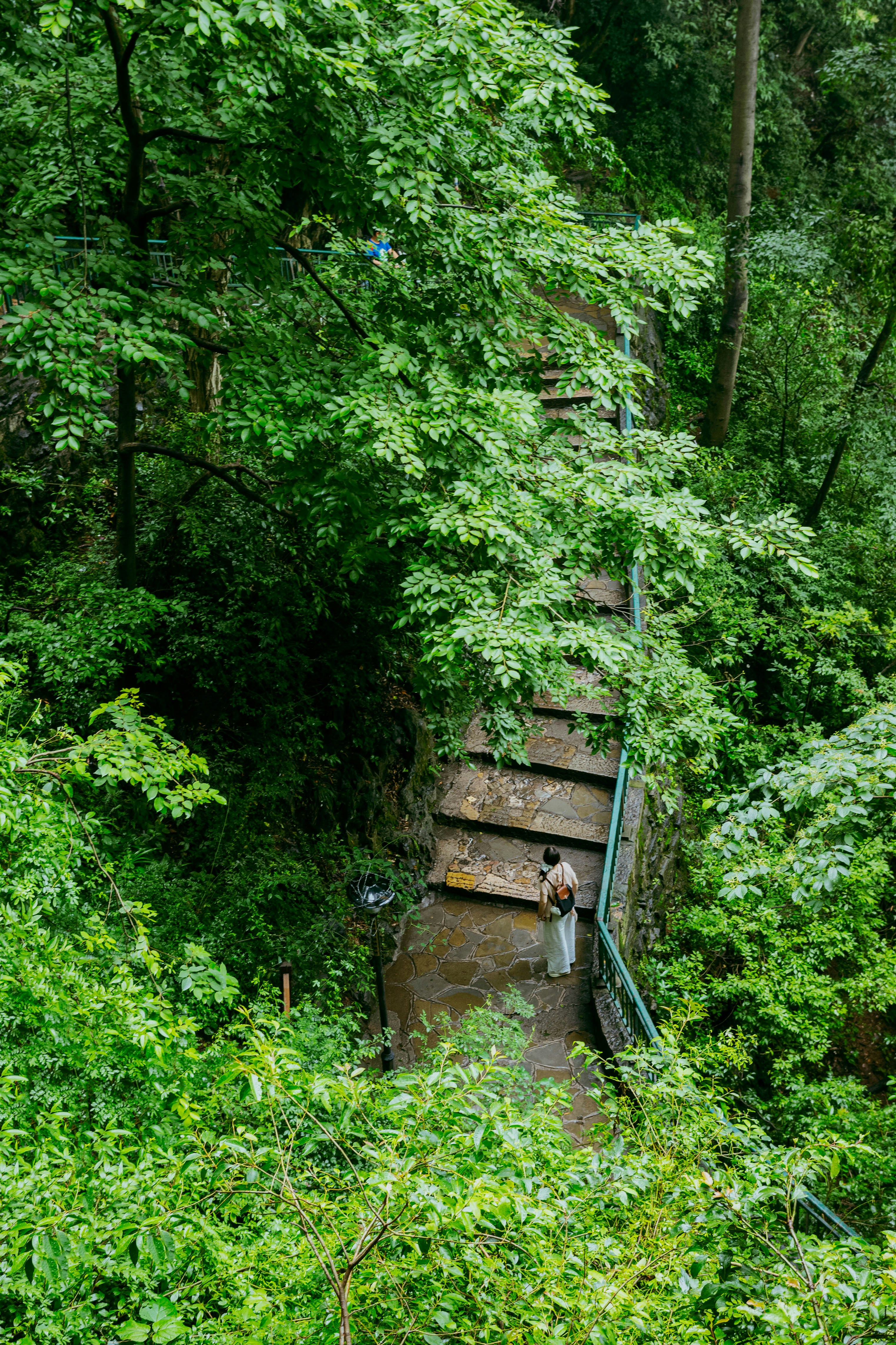 Hidden Waterfall Steps: A Man on a Mossy Bridge