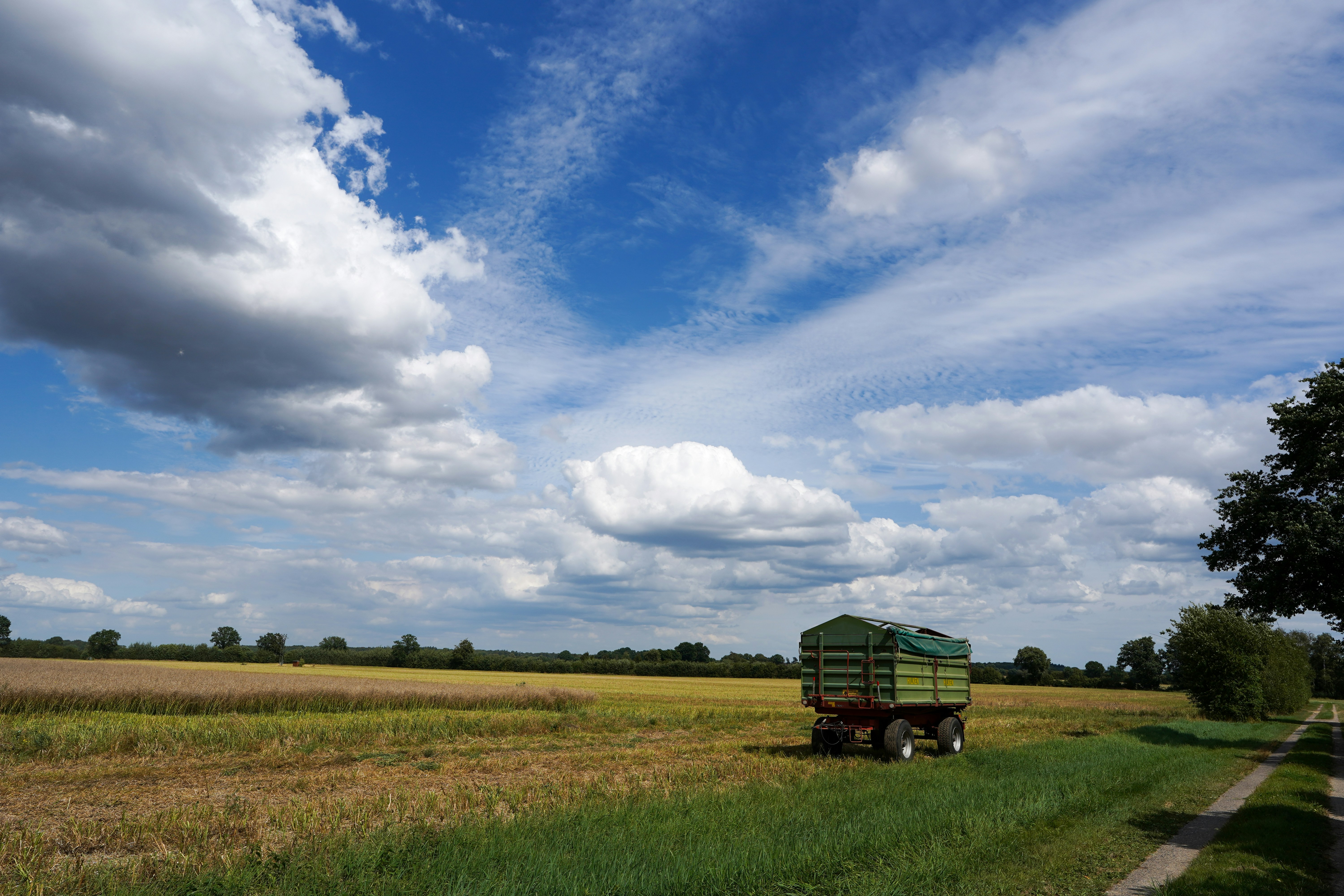 Harvest Roadside: A Sunlit Field with a Green Load Truck