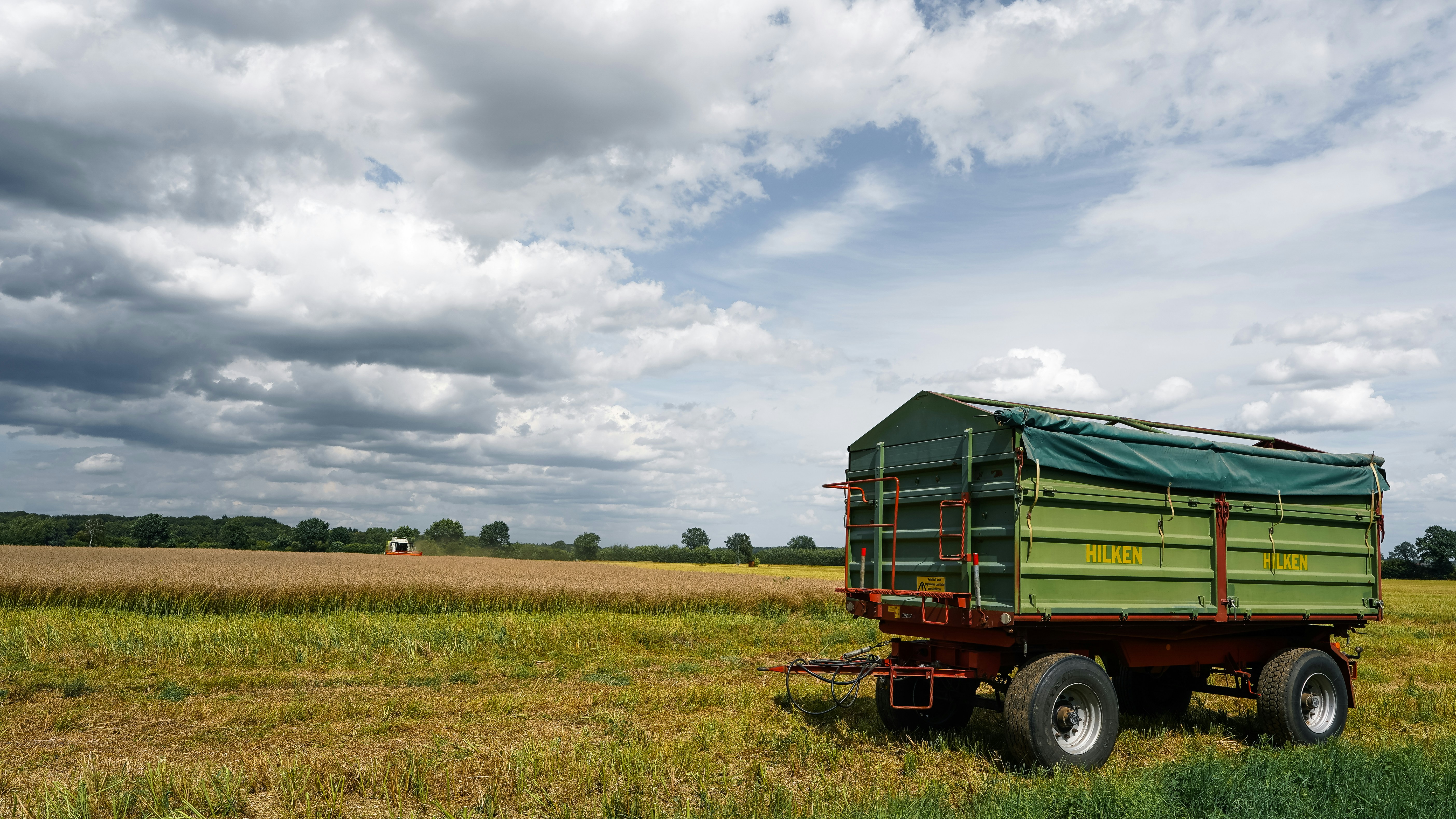 Harvest Wagon Resting at the Edge of a Golden Field