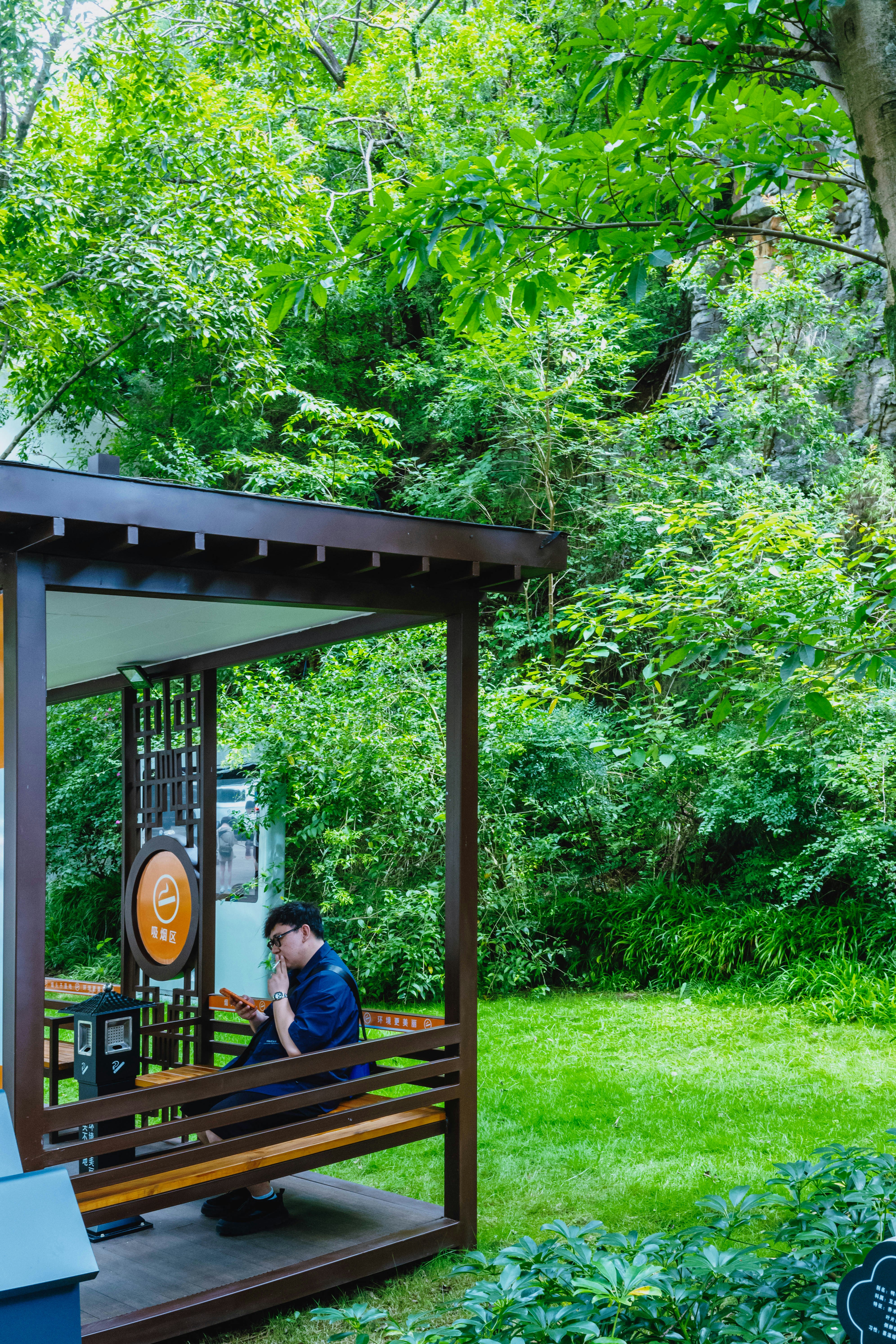 Quiet Break under a Canopy: A Visitor in a Pergola