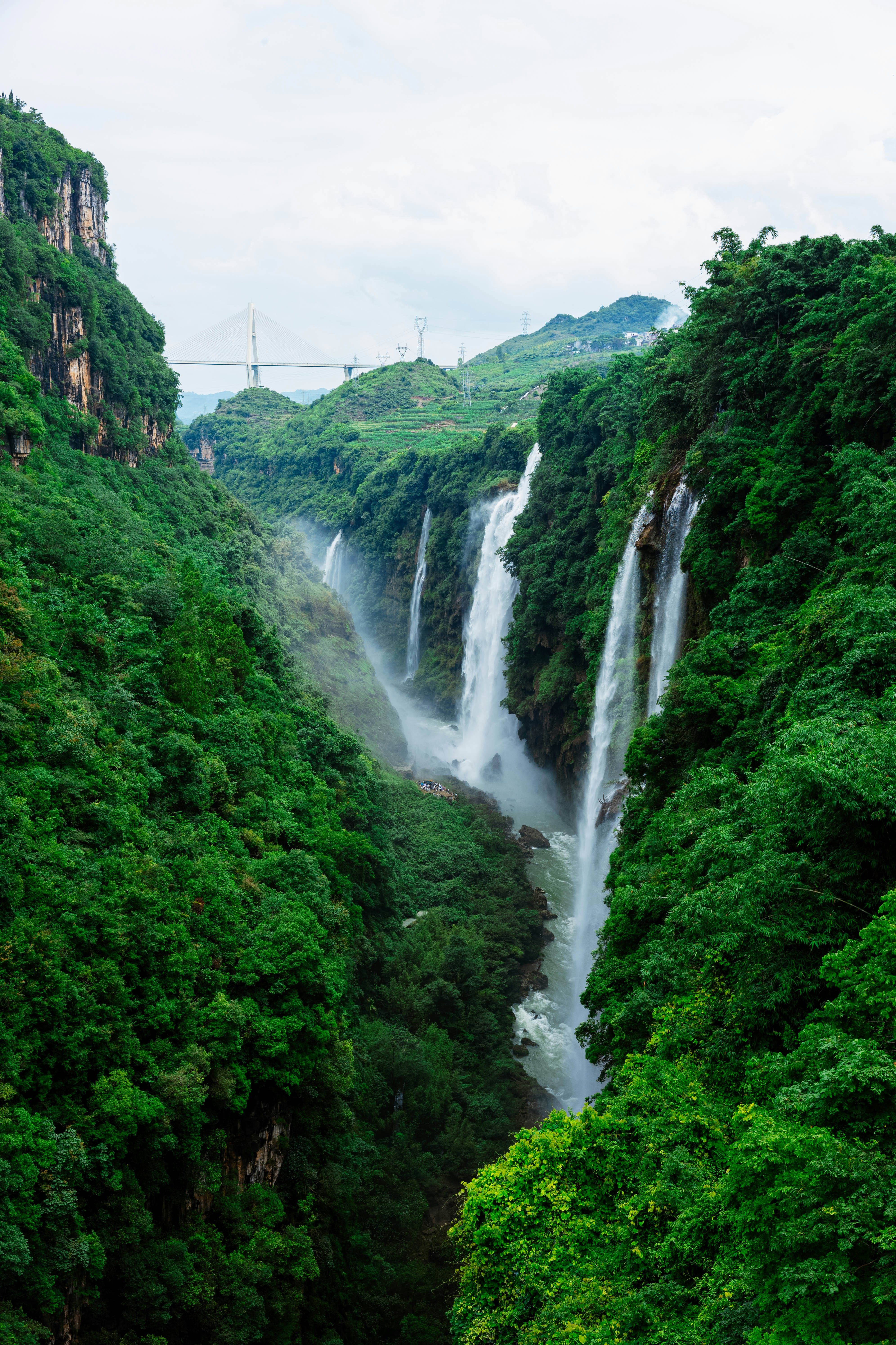Mist Over the Canyon: Aerial Veil on a Verdant Gorge