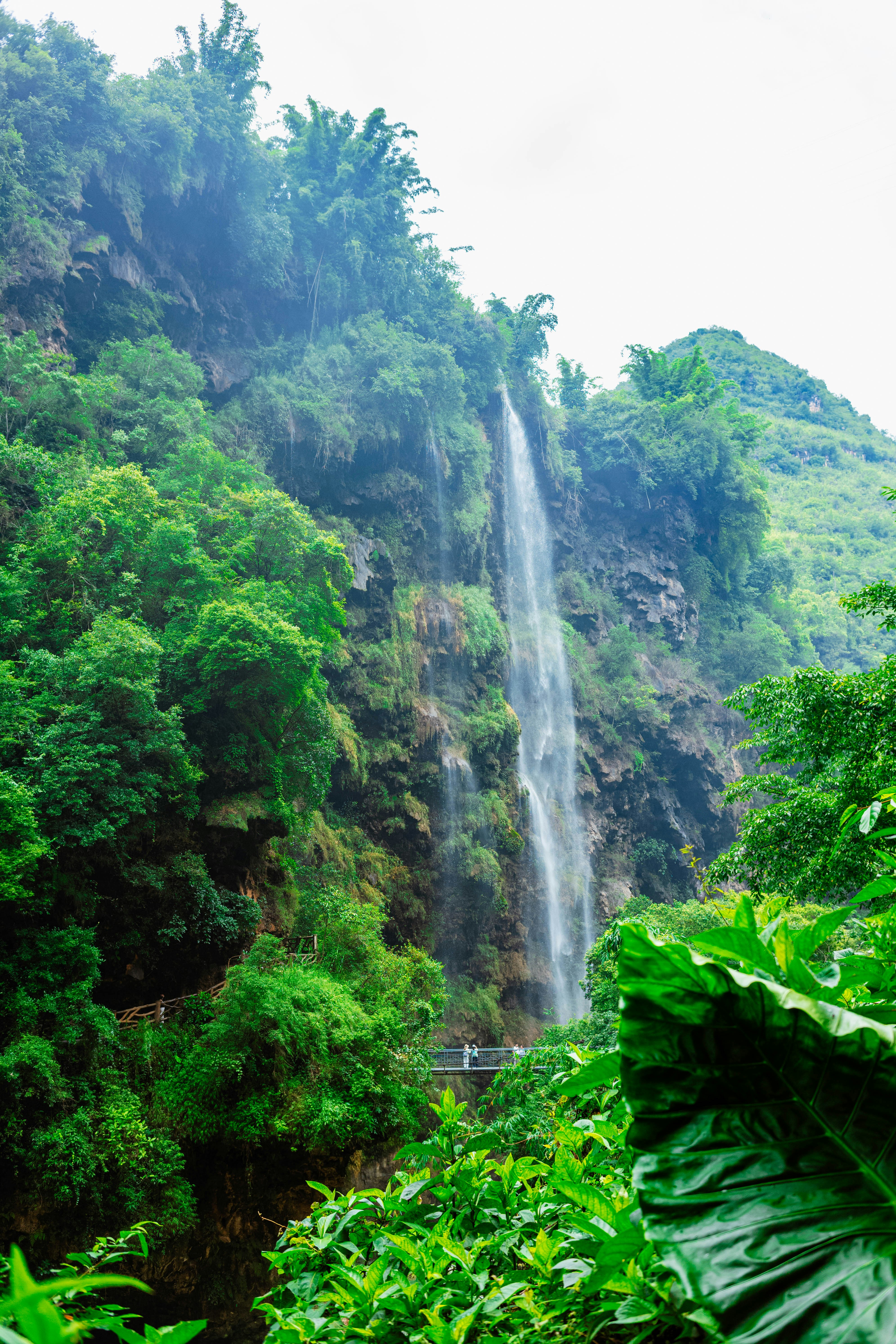 Verdant Cascade: A Narrow Waterfall Amid Lush Cliffside Greens