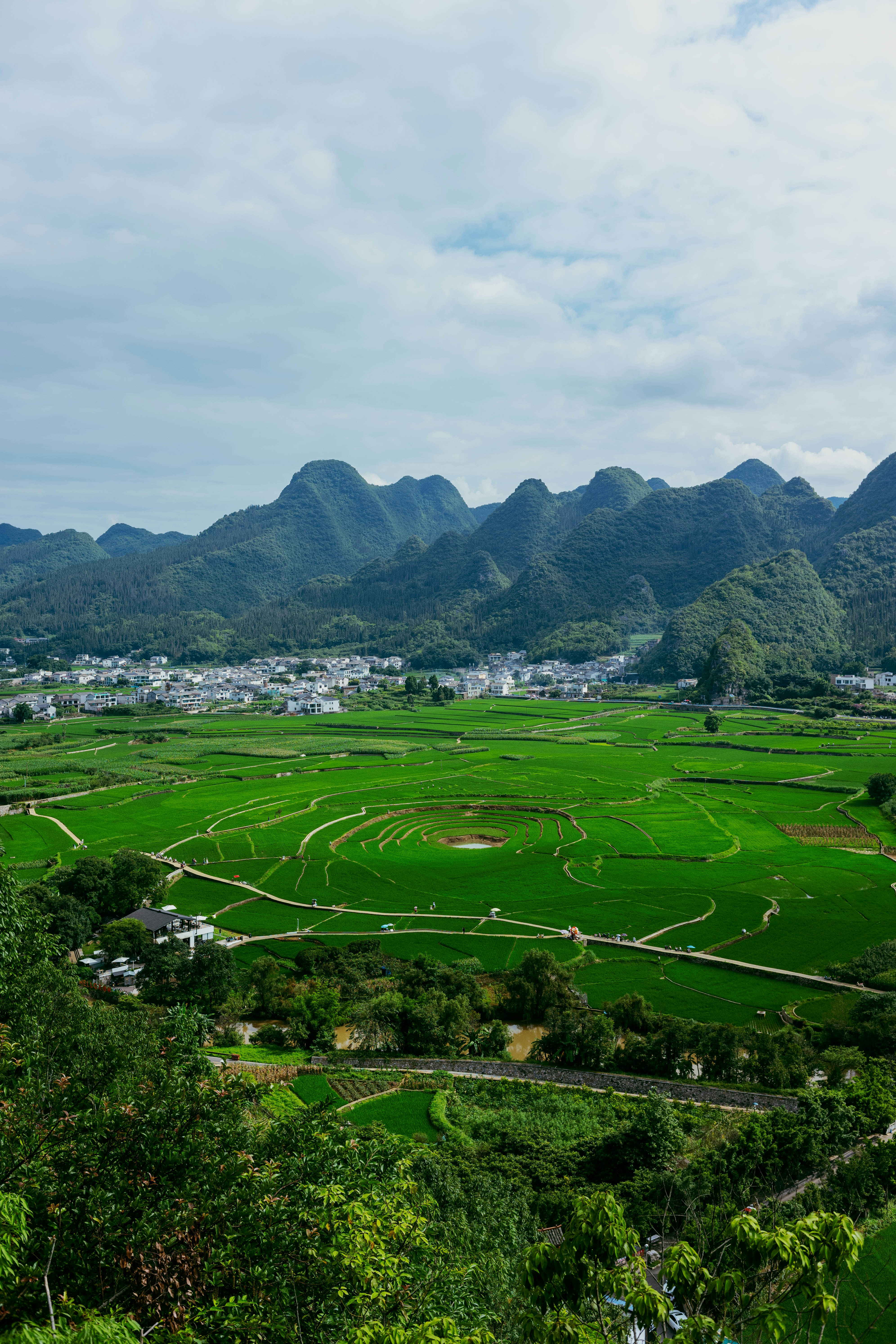 Terraced Green Seas under Karst Backdrop