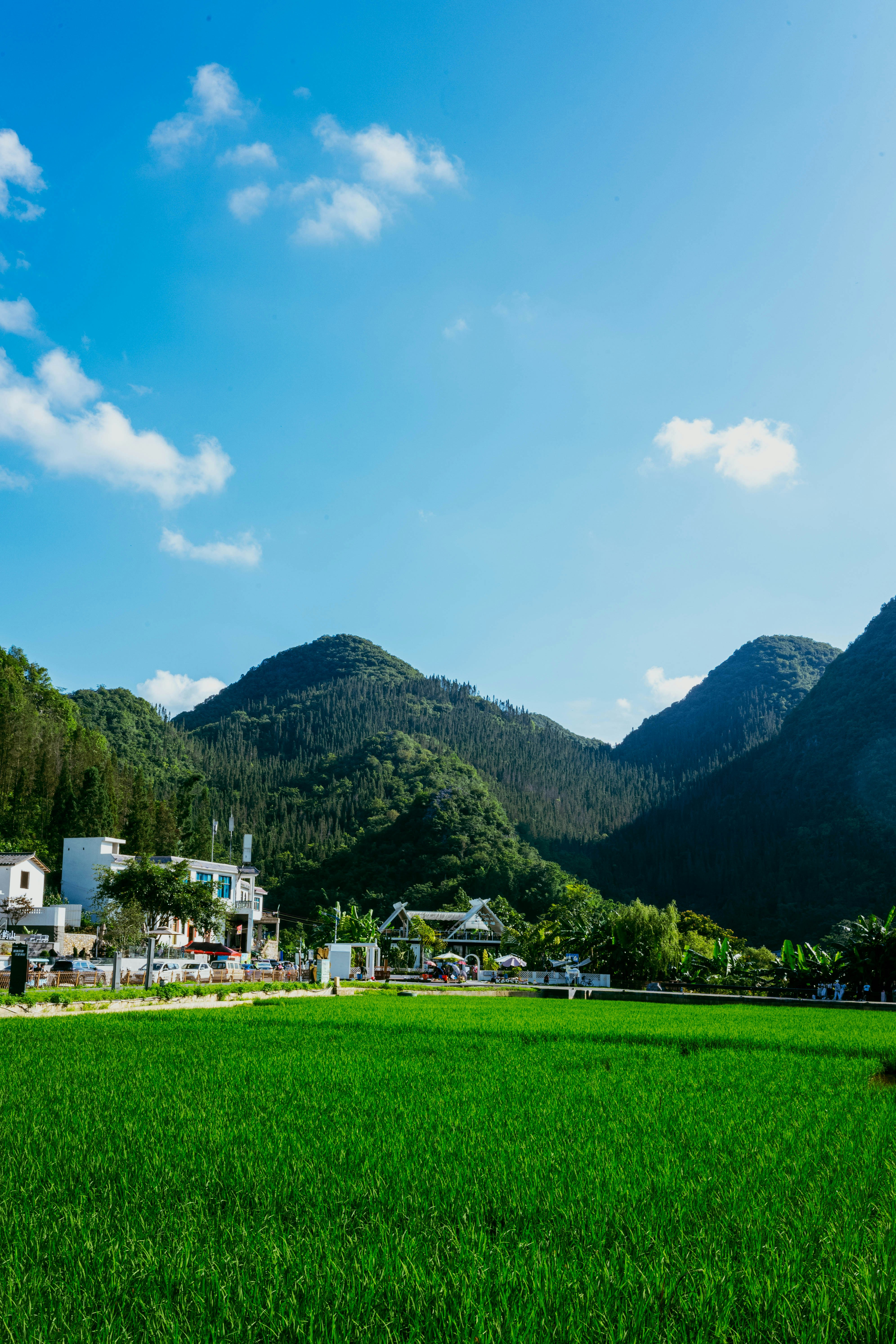 Vast green fields lead to distant white buildings against forested hills under a bright blue sky with scattered clouds.