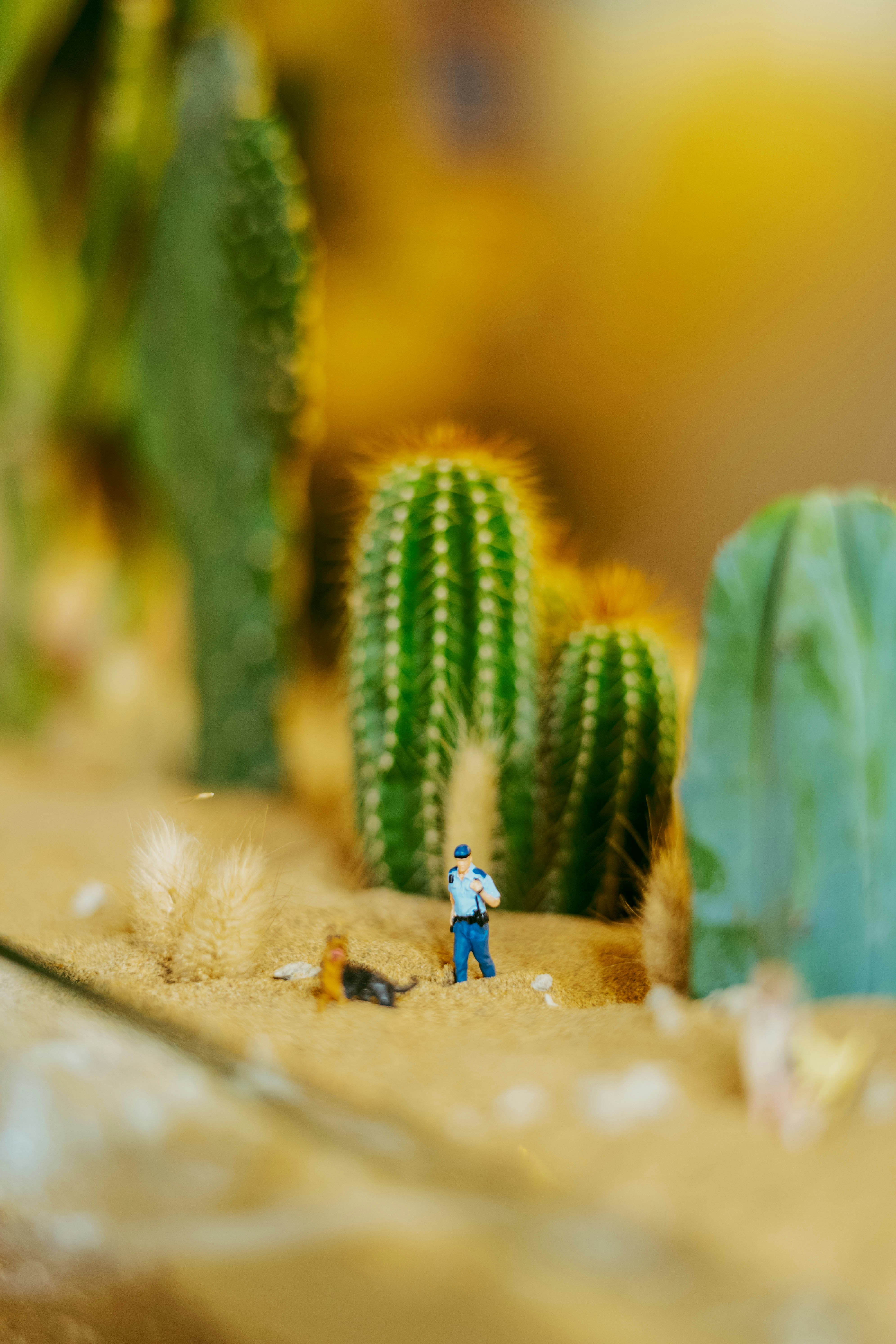 Miniature Workers in a Desert Dune Garden