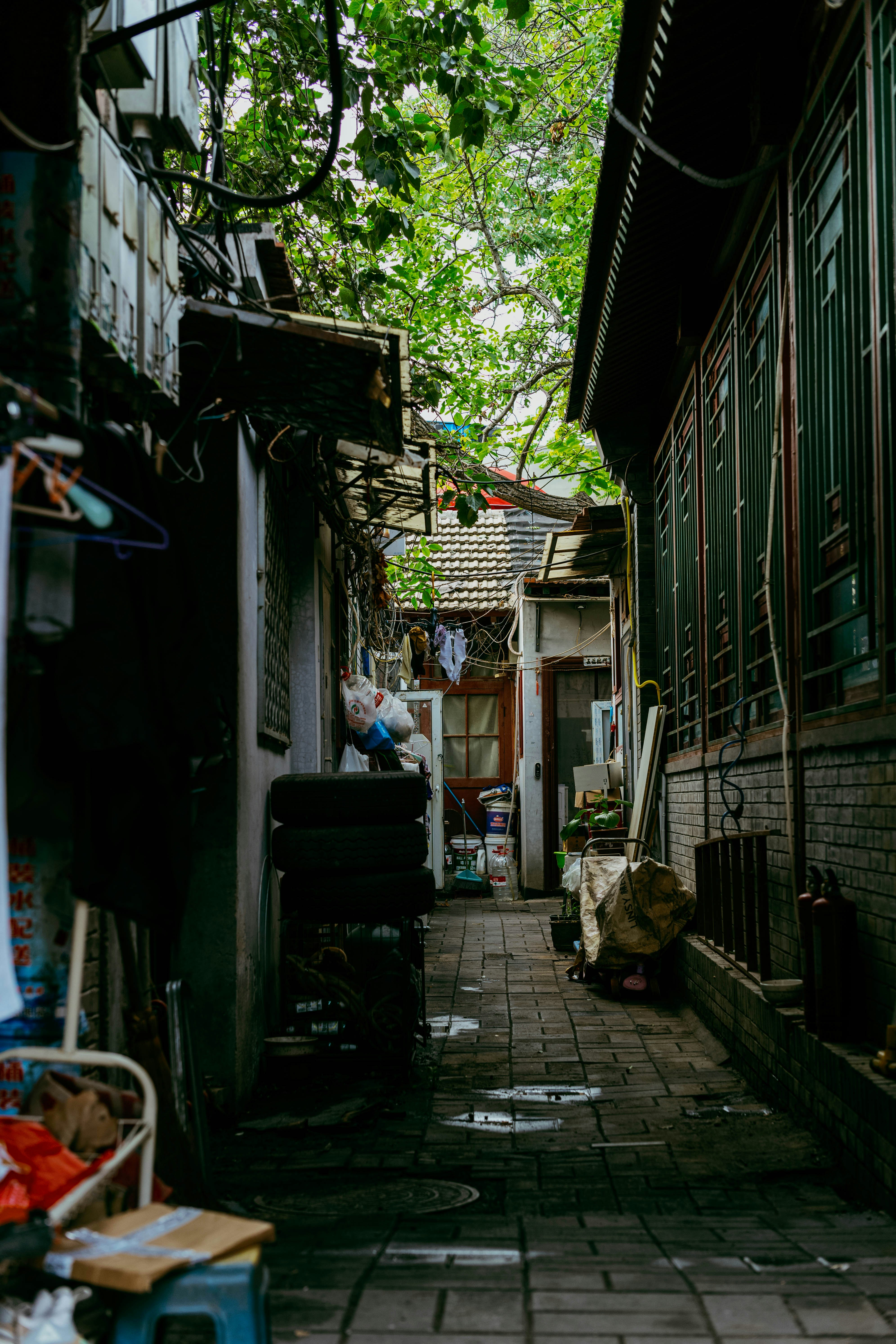 Narrow Alleyscape: Green Canopy Over a Labyrinth of Urban Clutter