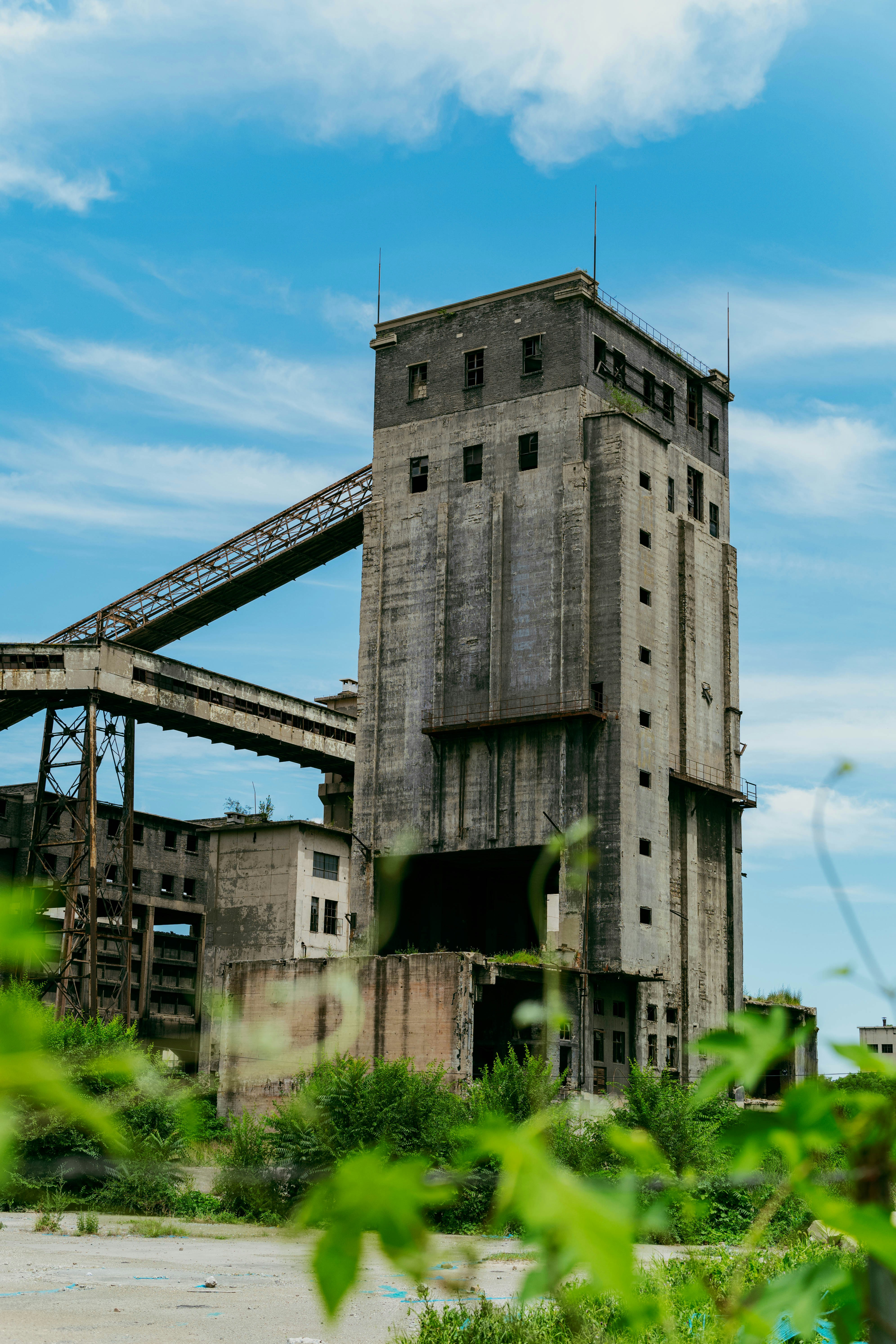 Decommissioned processing tower rises against a blue sky, with rusted conveyors and overgrown foreground hinting at nature reclaiming a factory site.