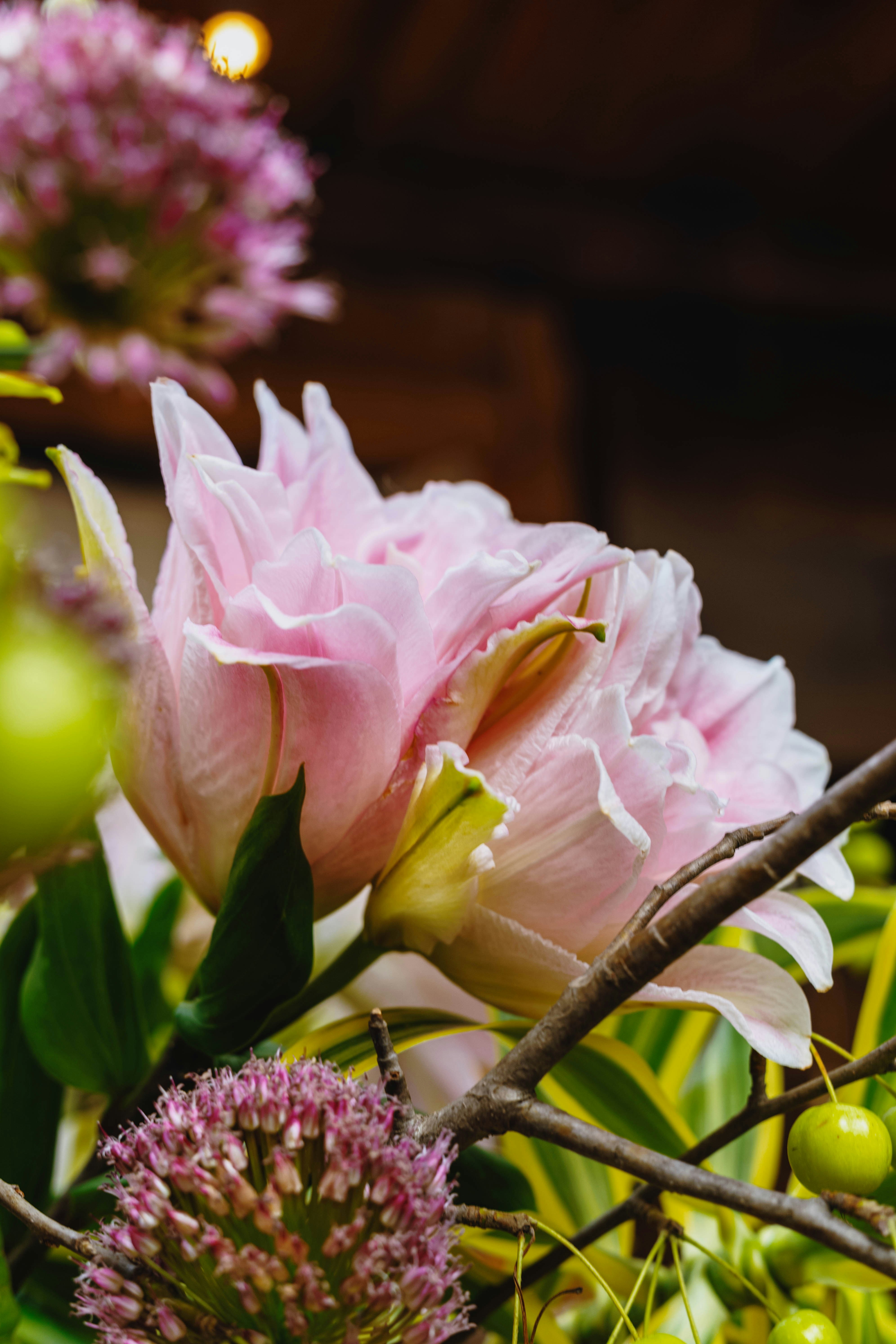 Close-up of pale pink peony petals with surrounding pink allium blooms and green stems in a softly lit garden scene.
