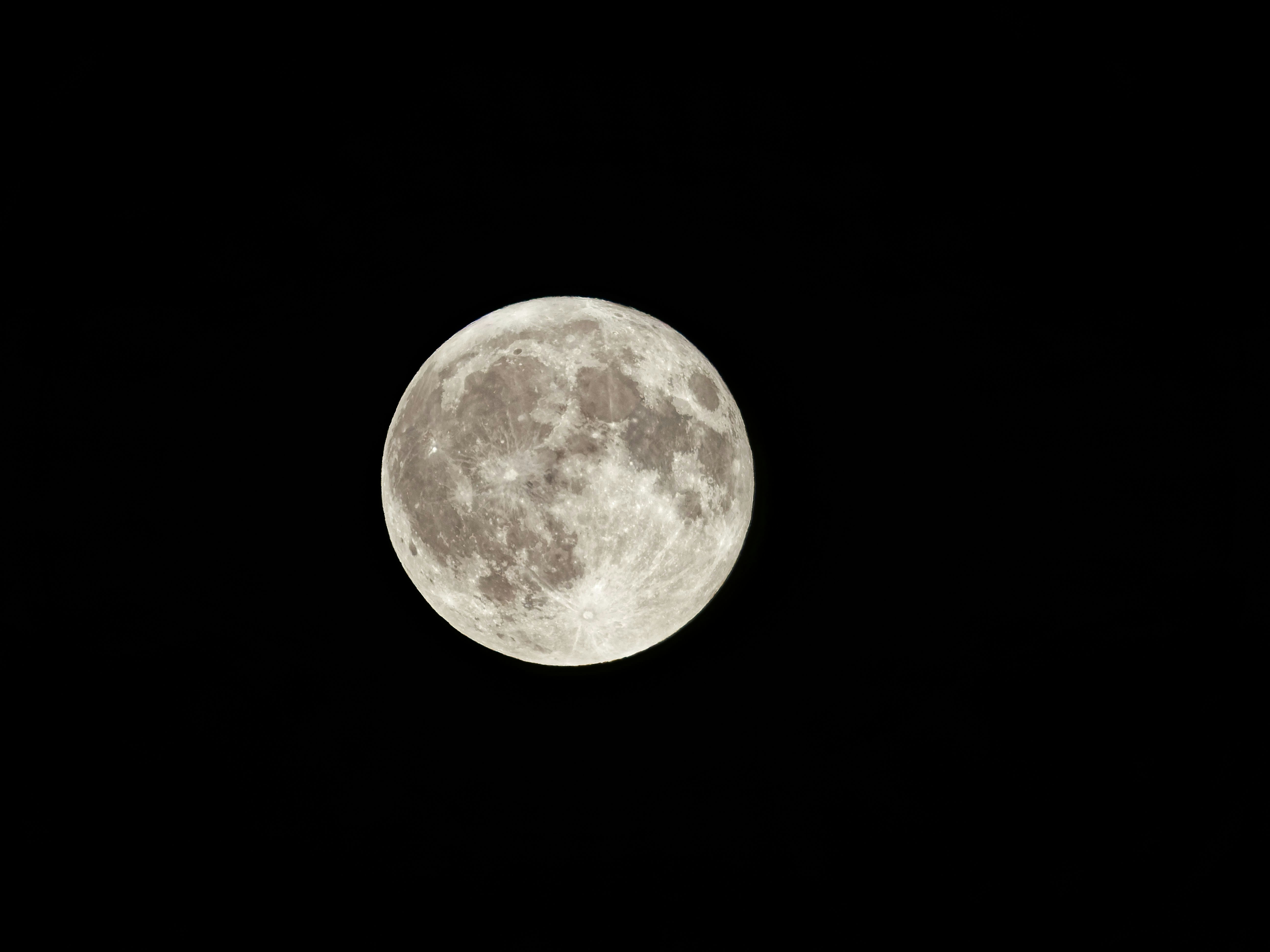 Lone Moon in Velvet Night