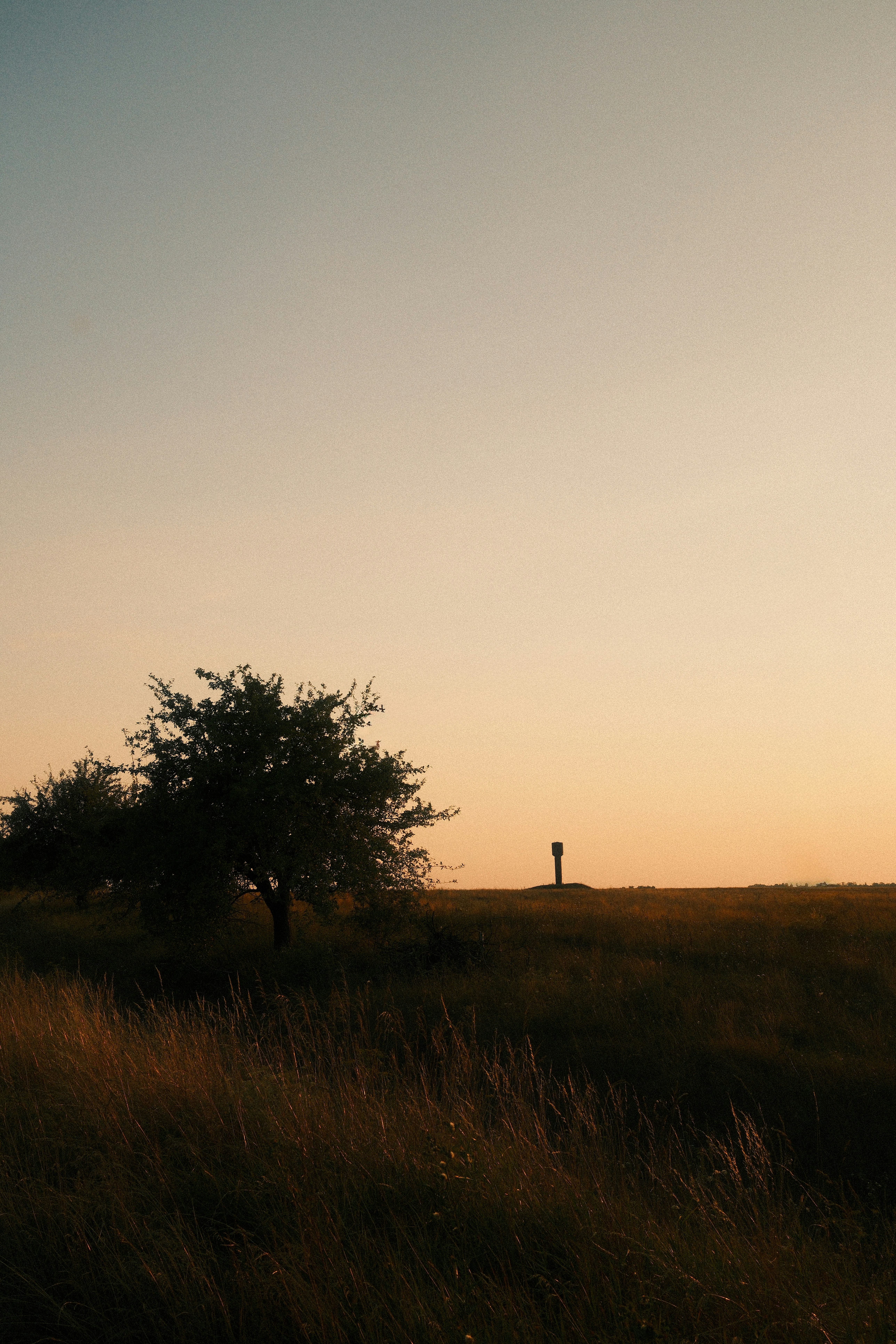 Rising Horizon: A Lone Tower Silhouette and Whispering Grass