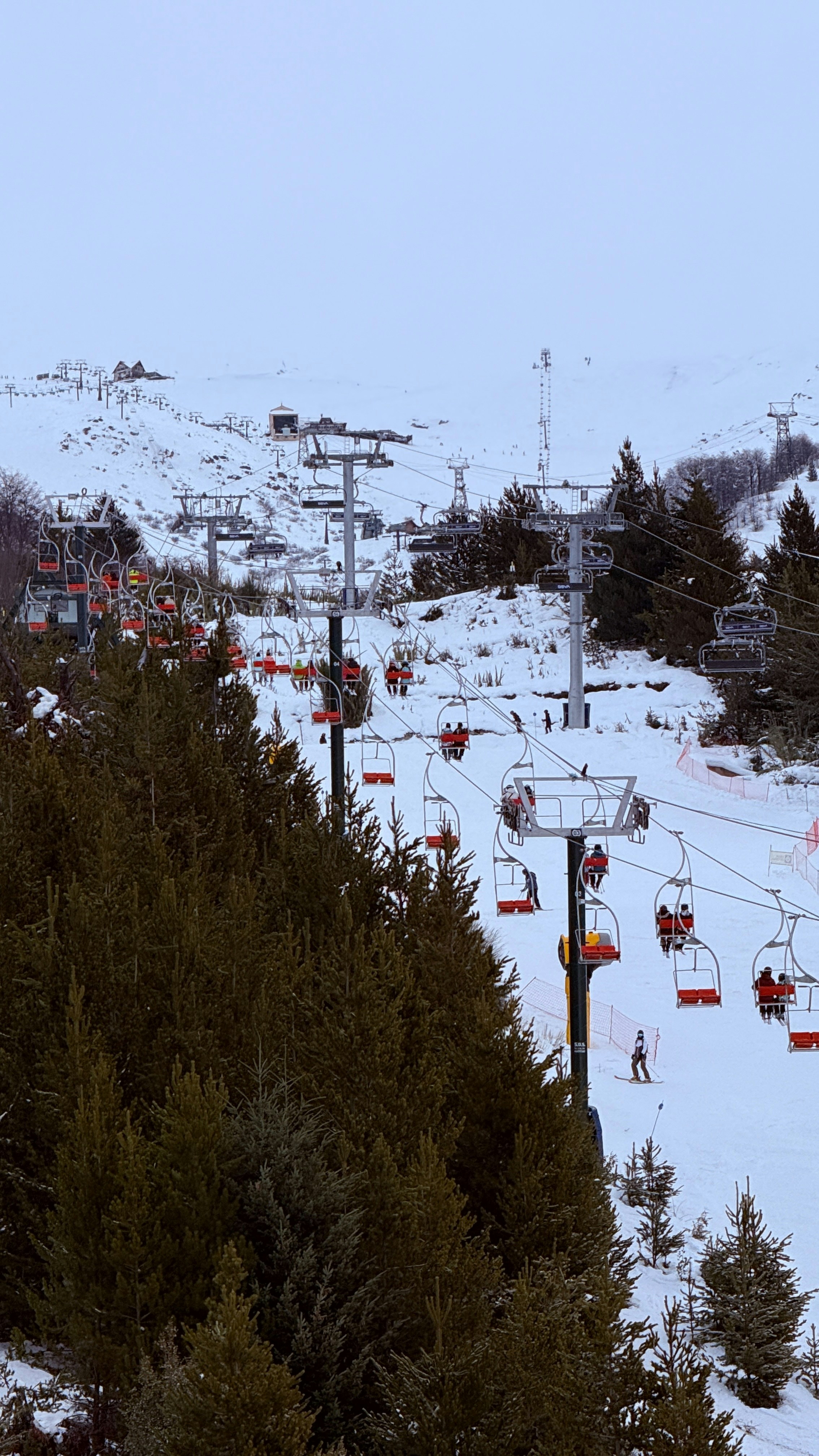 Snowbound Lift Lines: A Forested Ascent Under a Pale Sky
