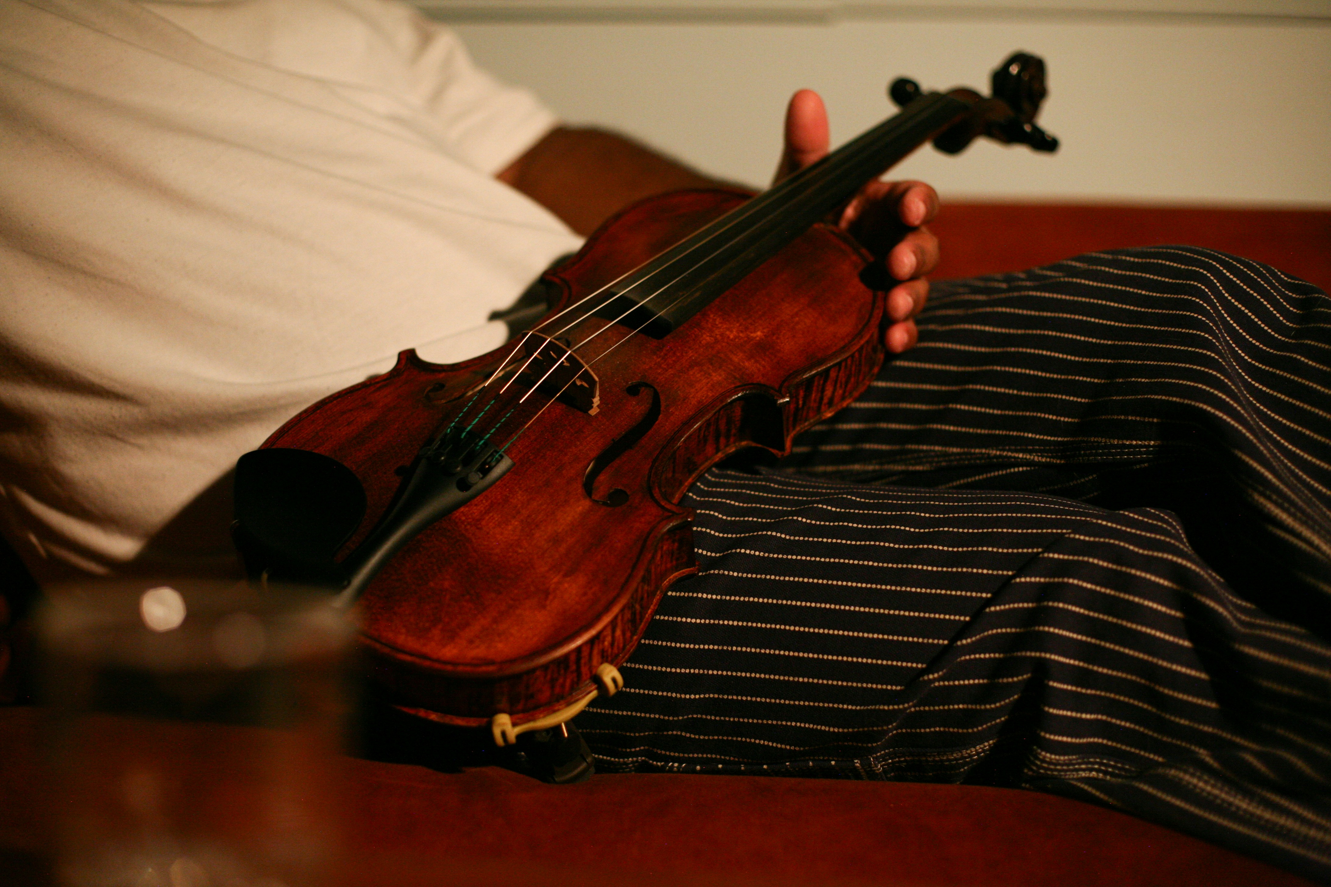 A Quiet Moment with the Fiddle: Velvet Strings Rest on a Sleeved Lap