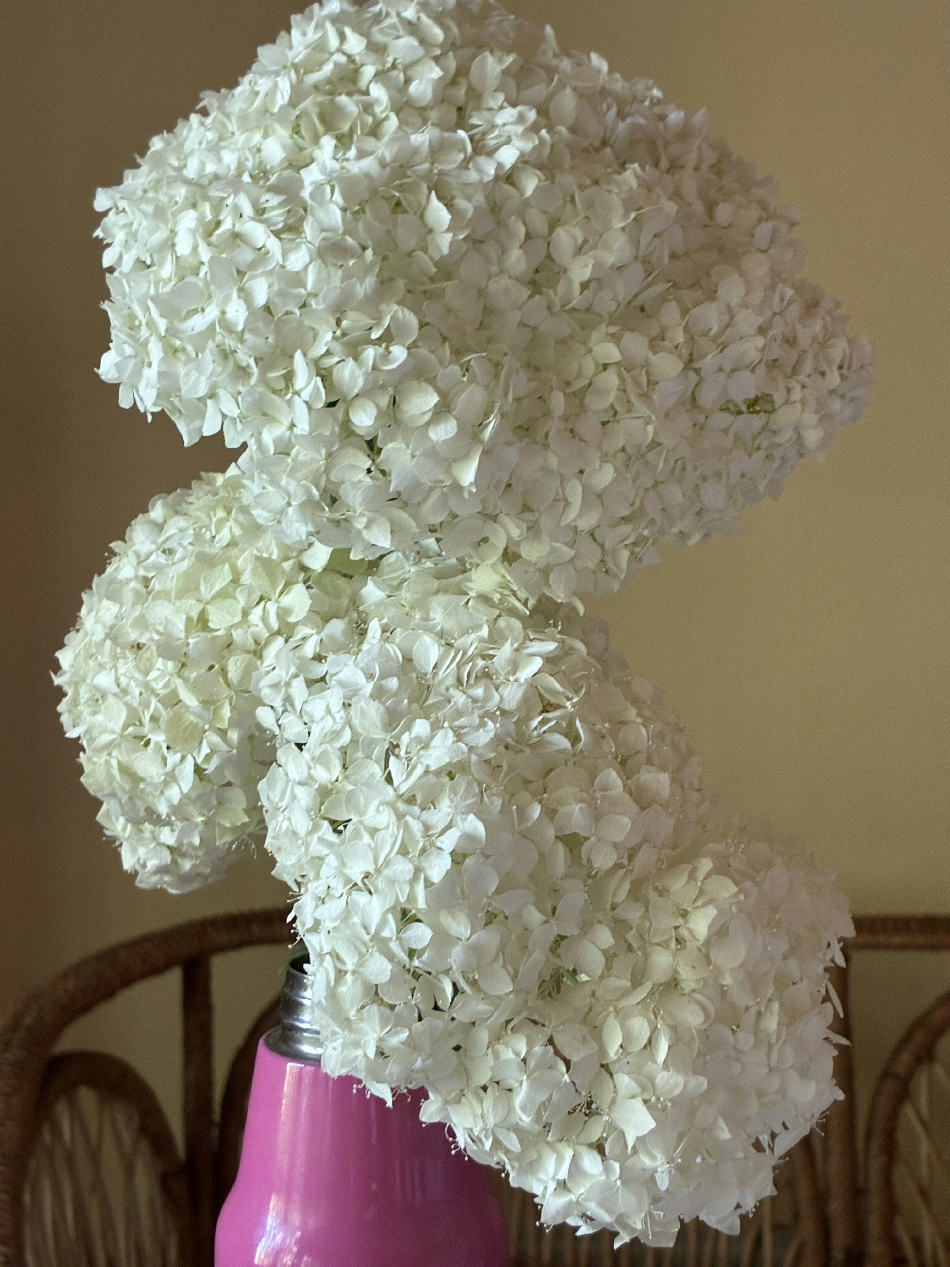 Whispering Blossoms on a Pink Bottle