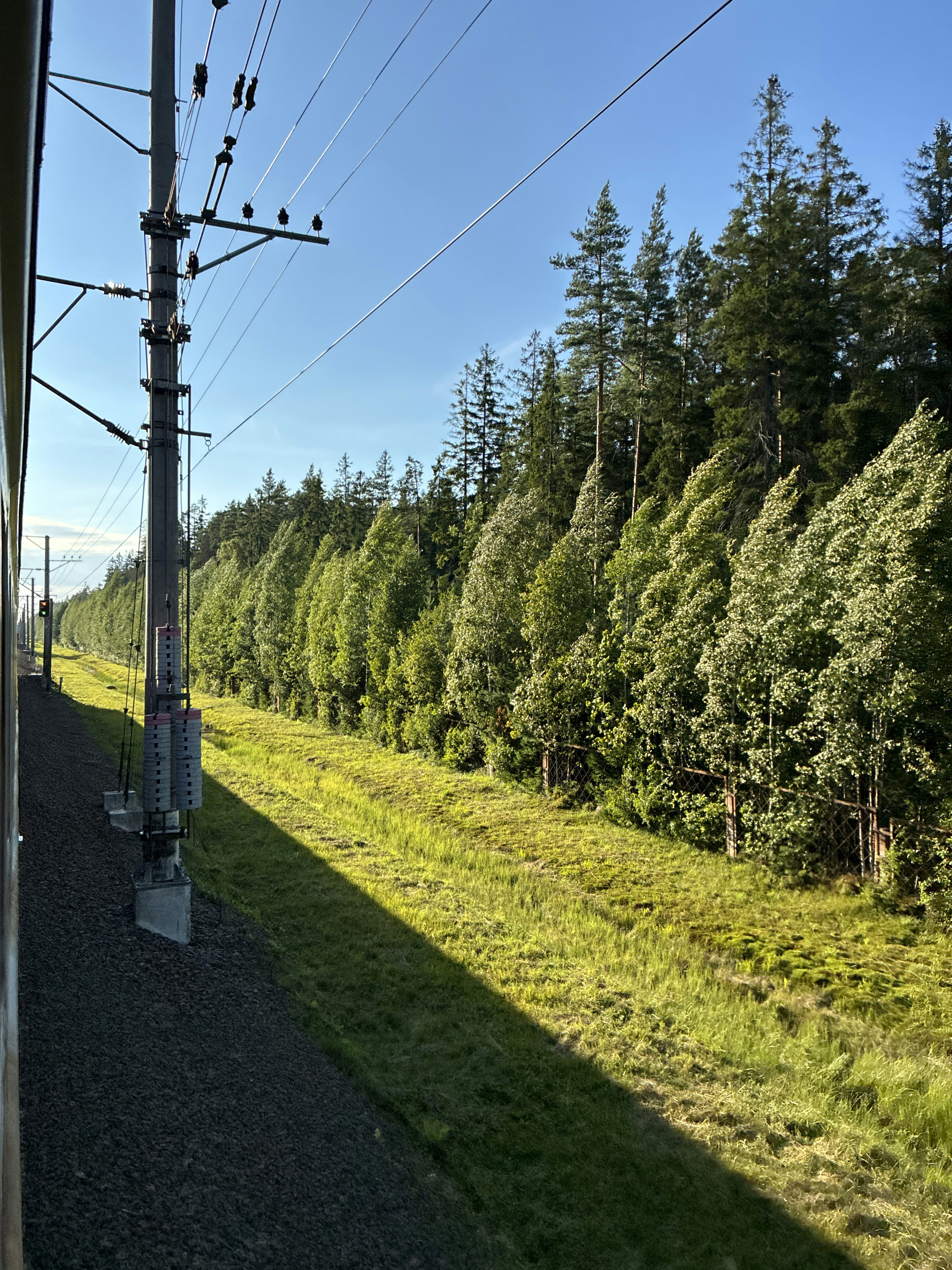 Railway Lines Through a Quiet Orchard Horizon