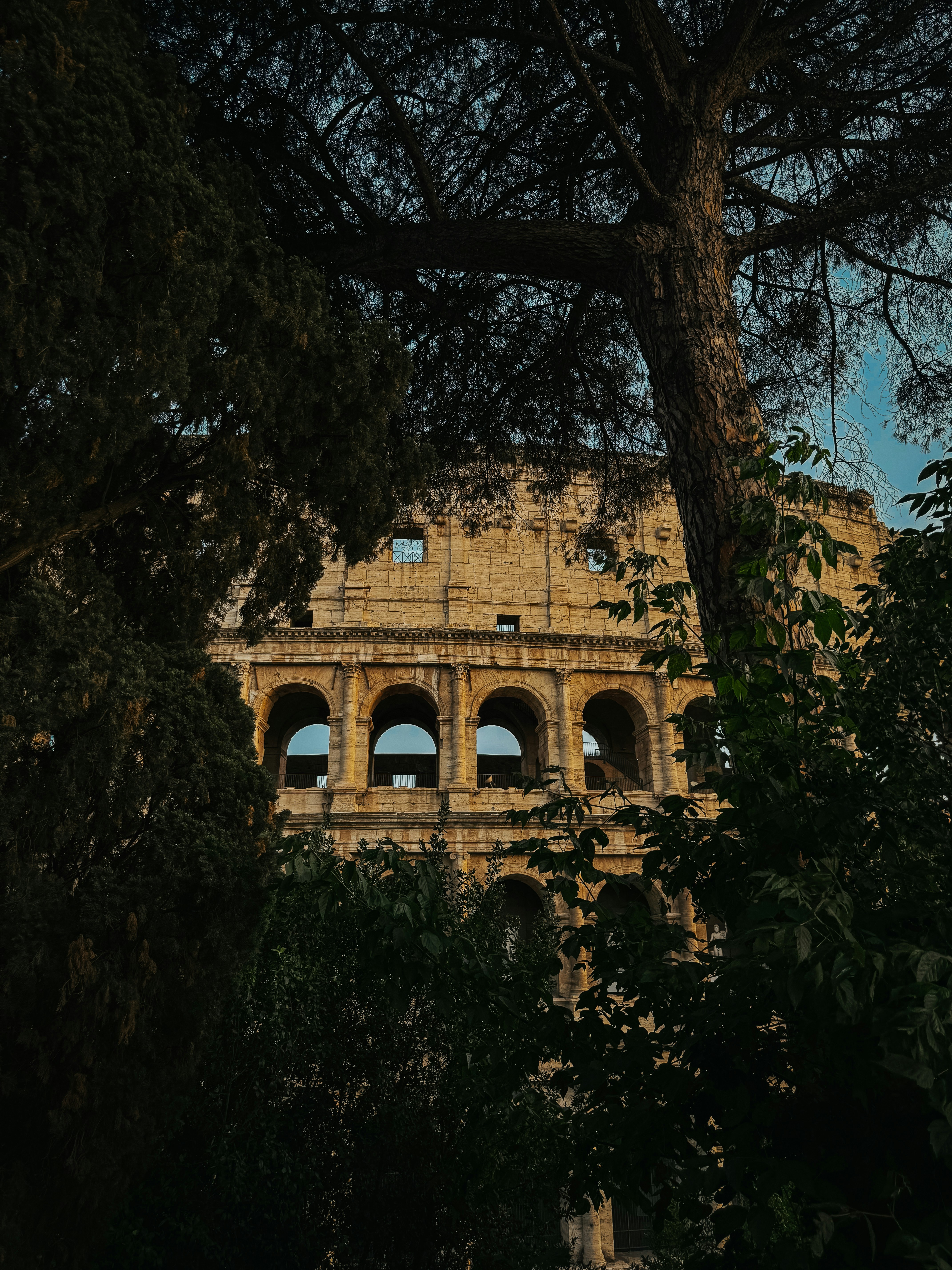 Sunlit Arcades through a Frame of Trees