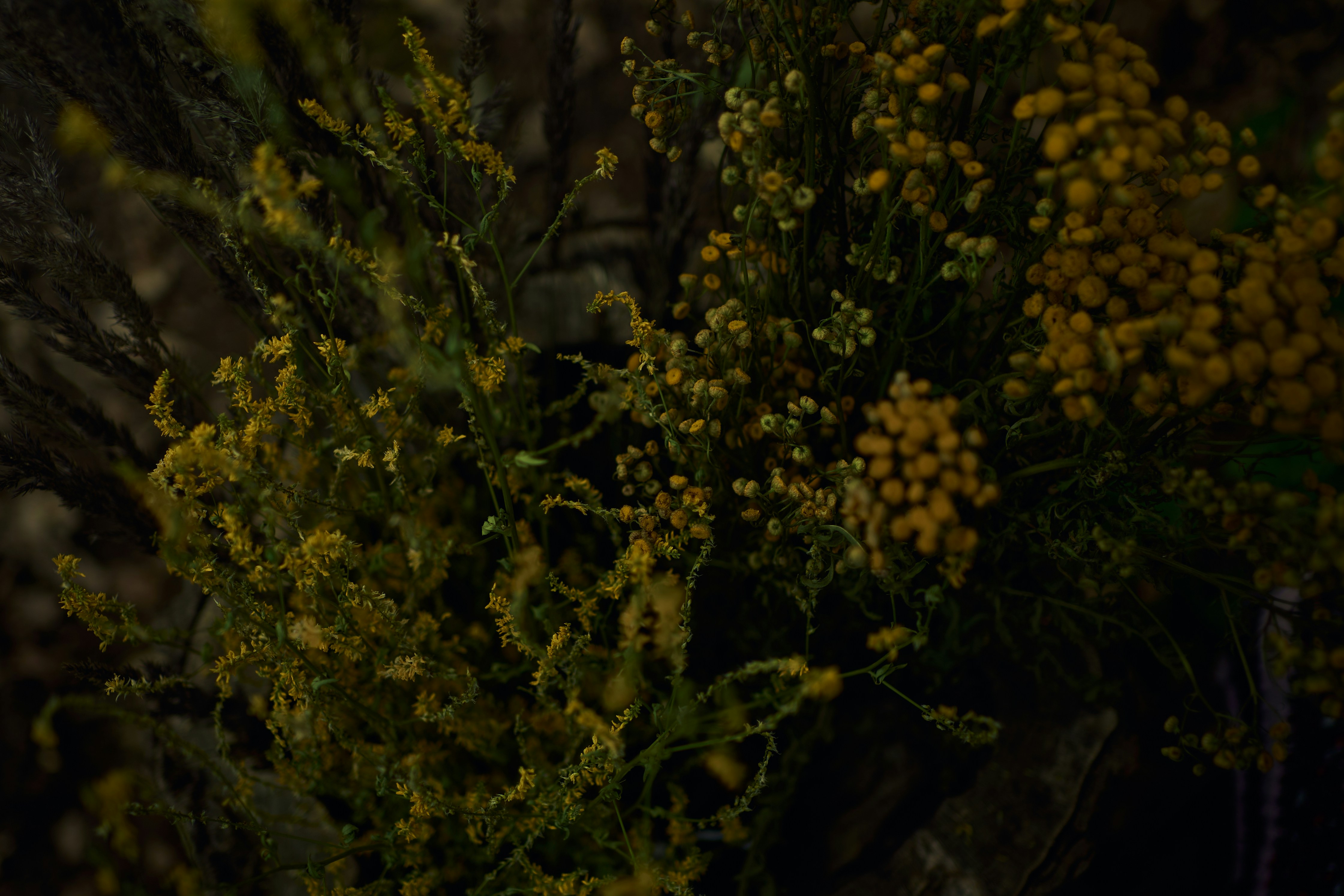 Moonlit Bouquet: Golden Berries in Shadowed Ferns
