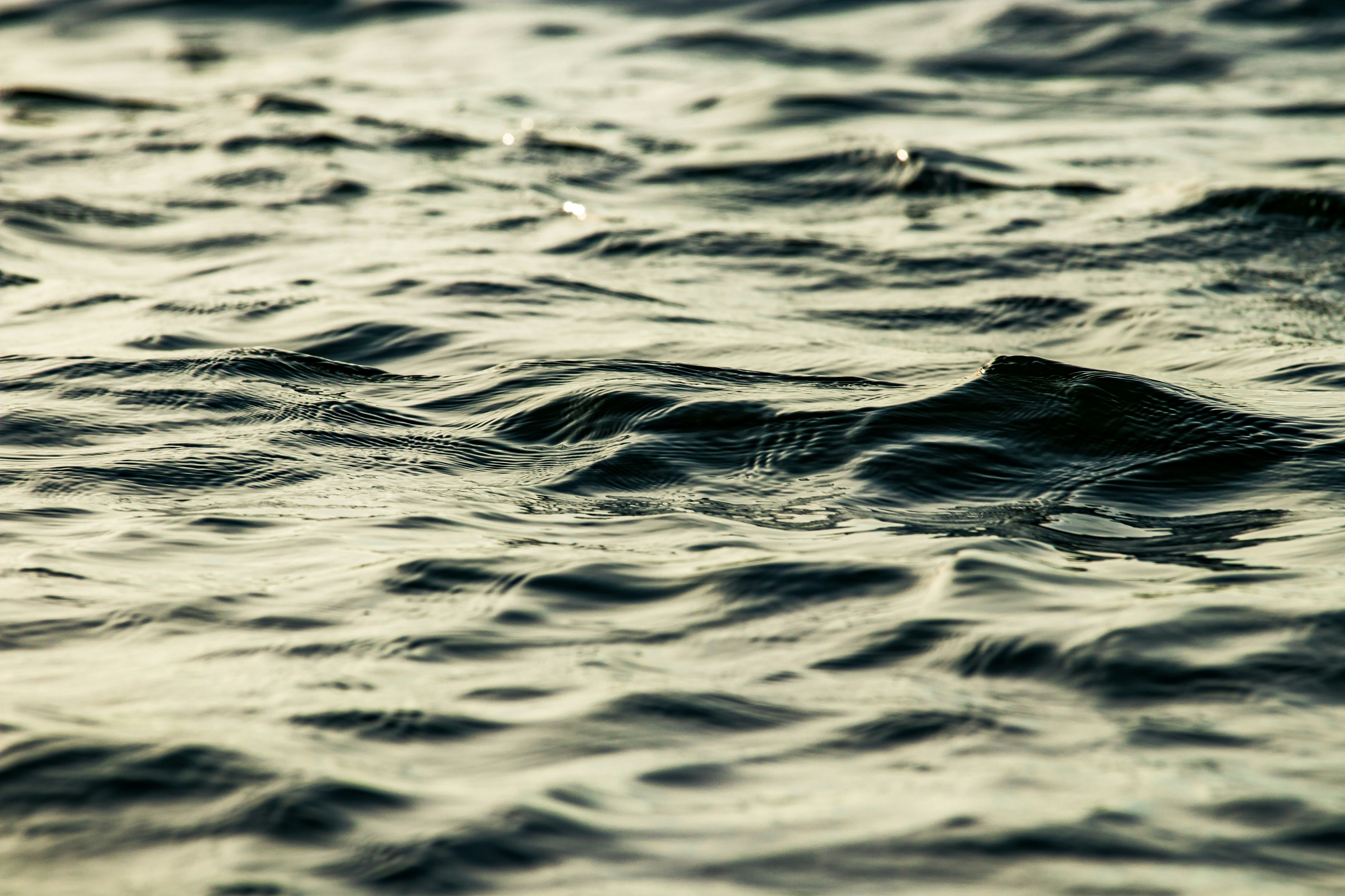 Tidal Ripple Portrait: Subtle Light on Quiet Sea