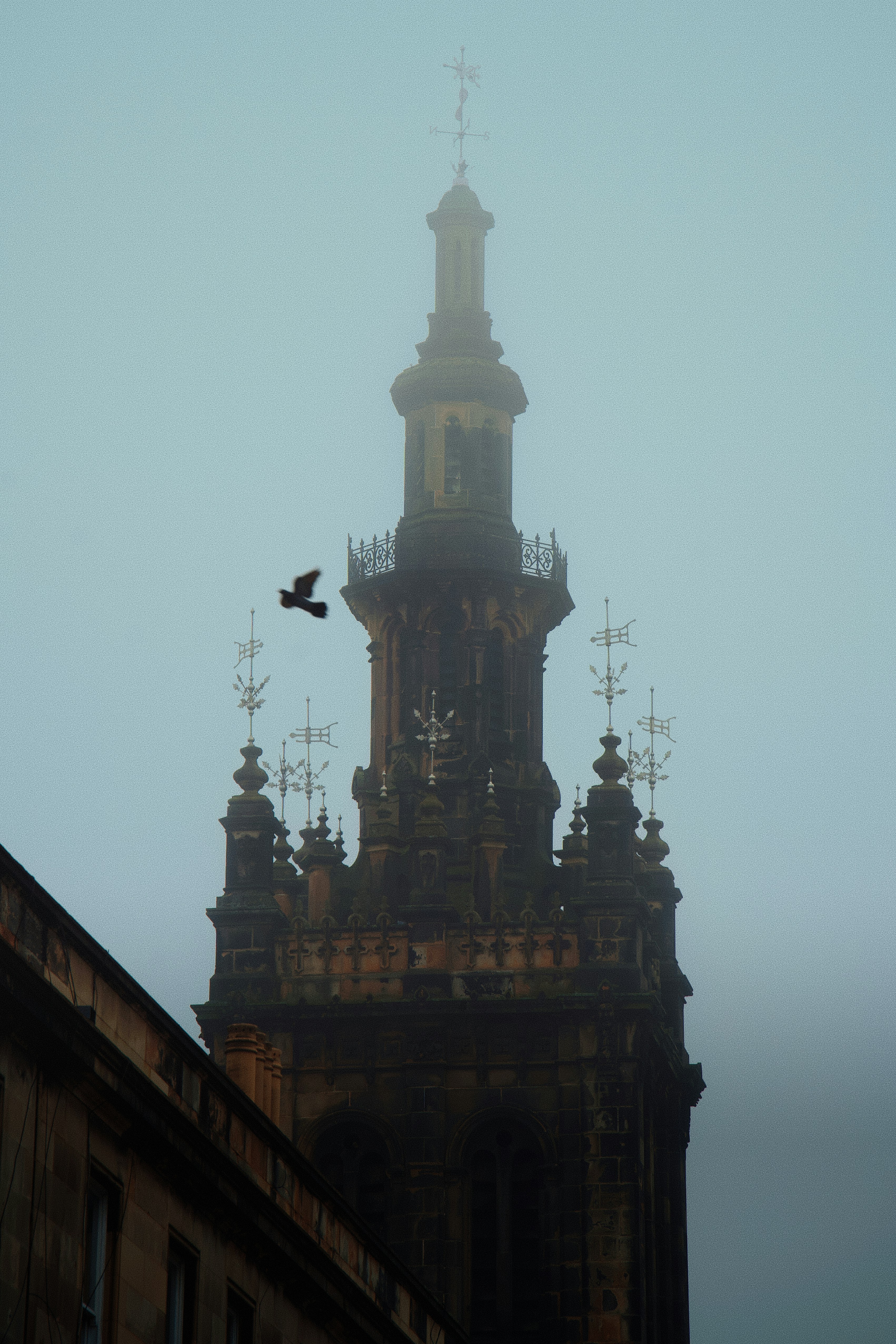 Towering Clockwork: A Steeple Emerges Through Mist