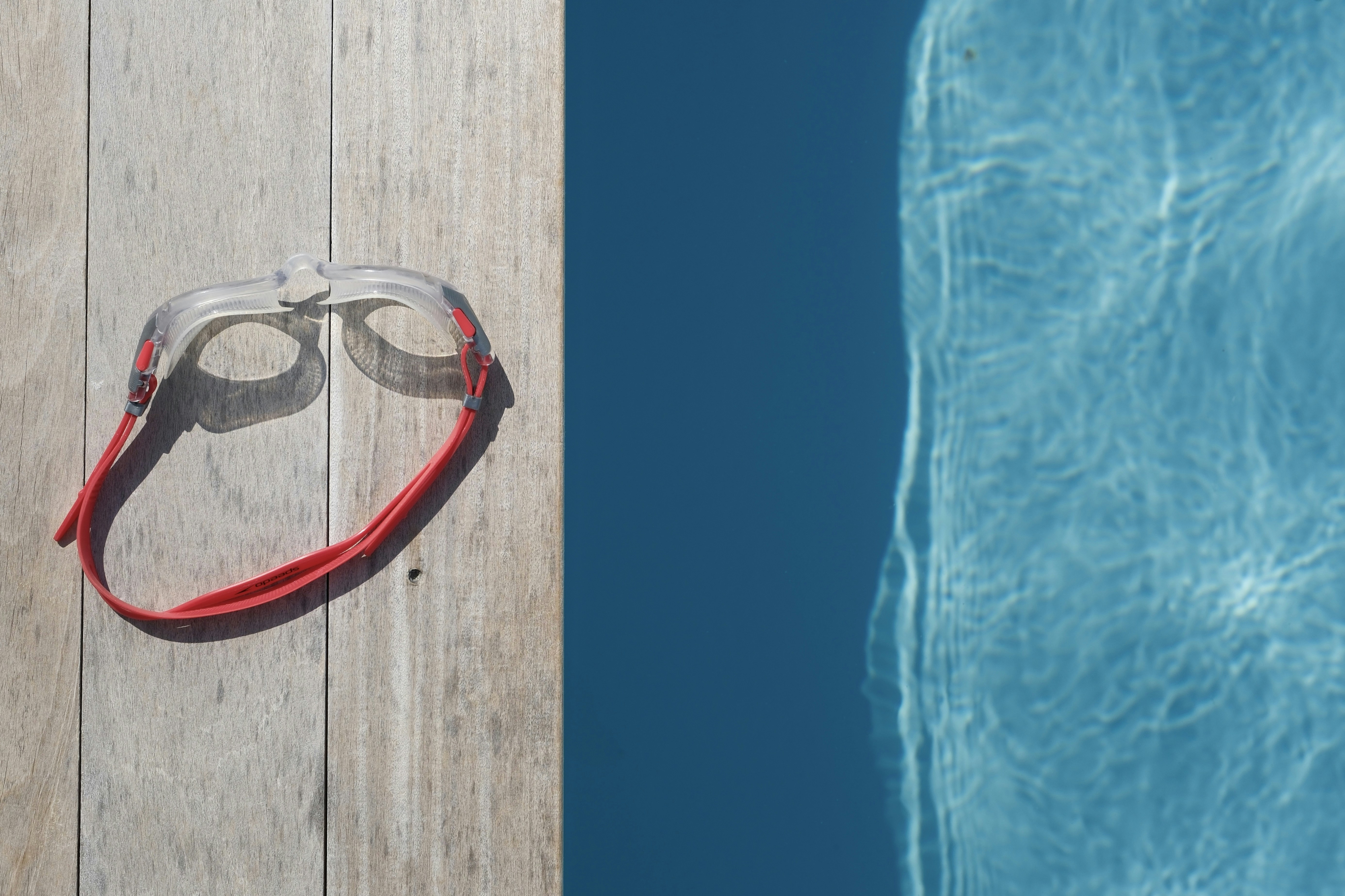 Red Floater by the Water: a Dockside Glance