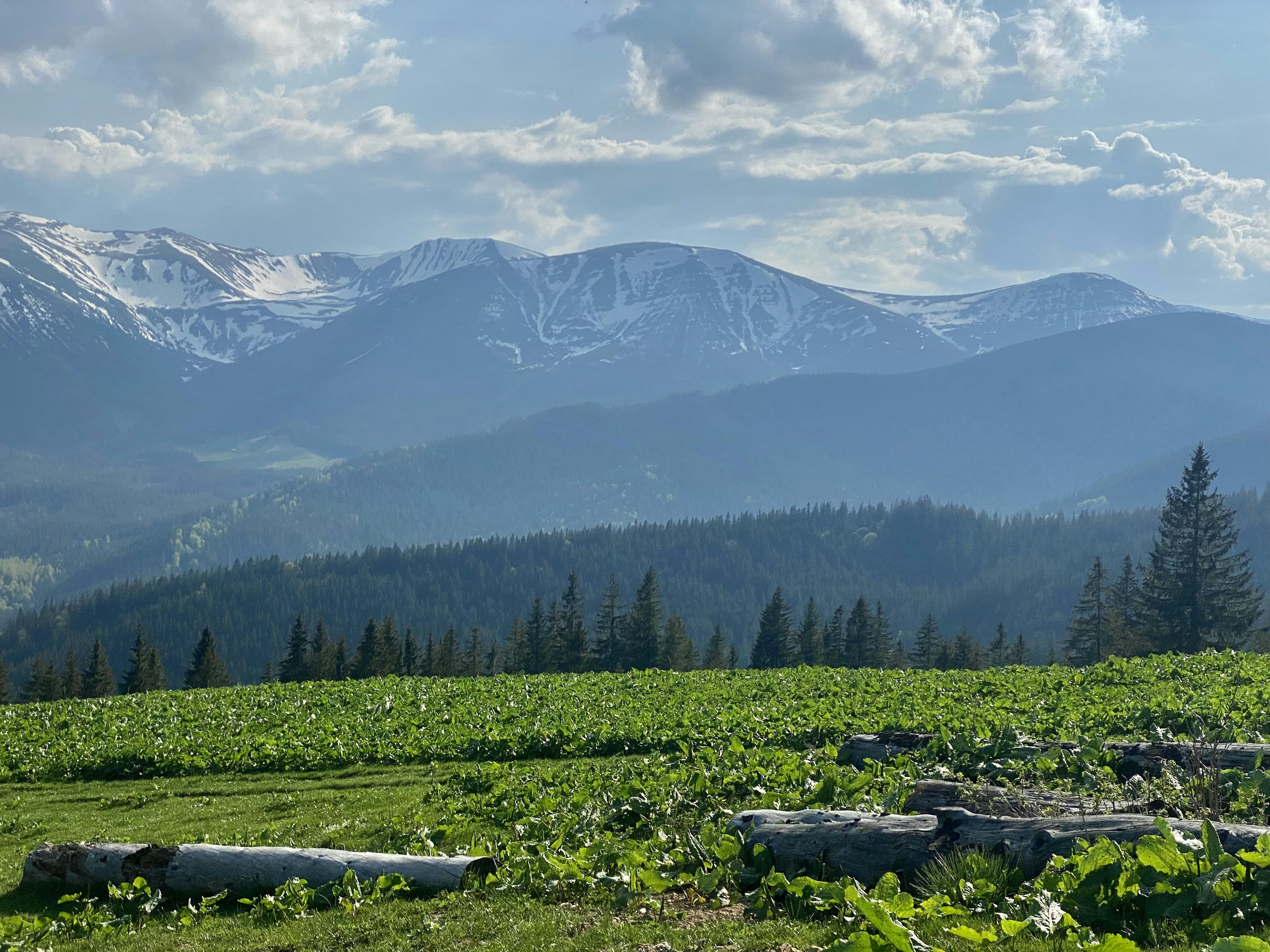 Emerald Valley and Snow-Capped Ridges at Midday